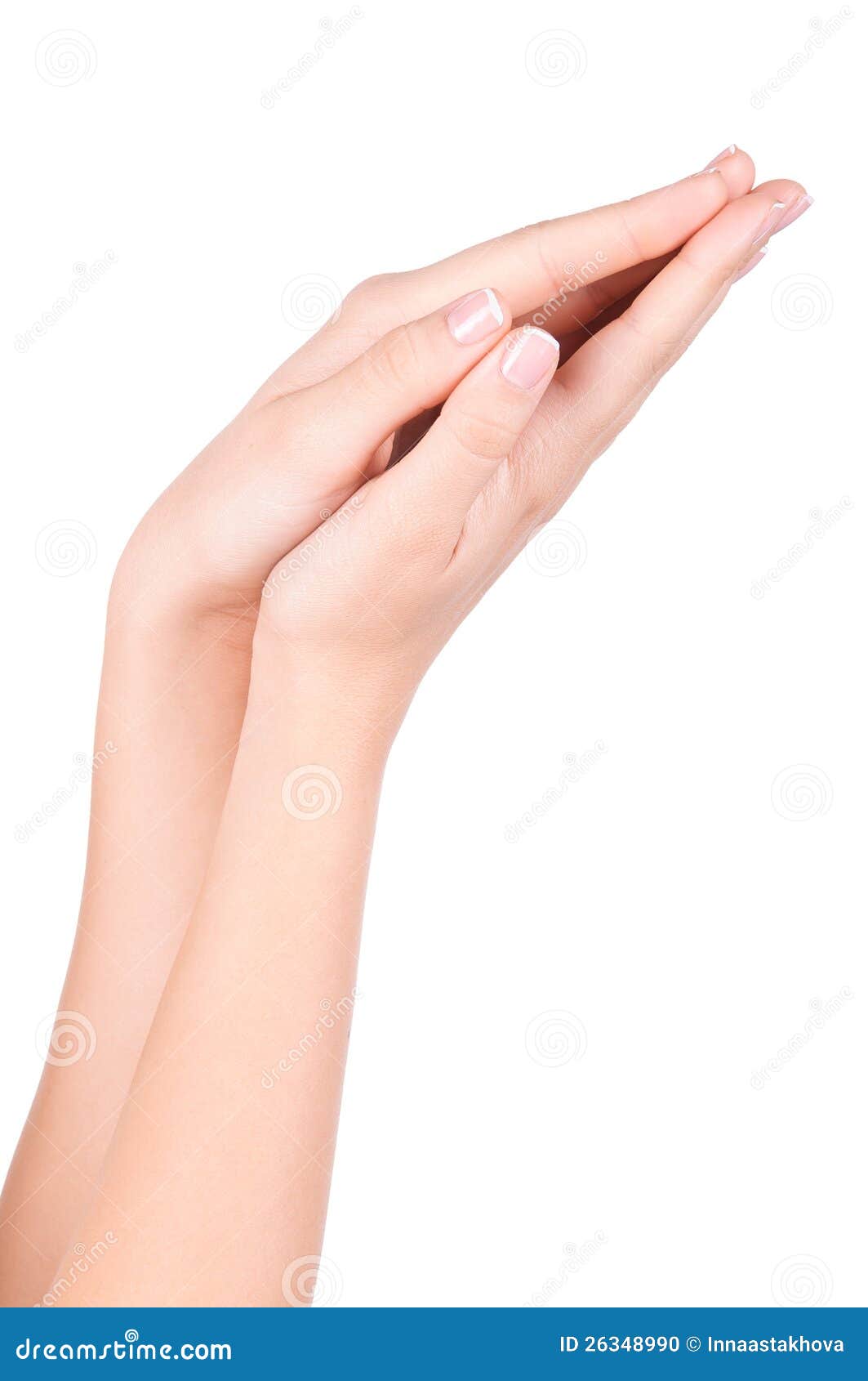 Beautiful Female Hands stock photo. Image of fingers - 26348990