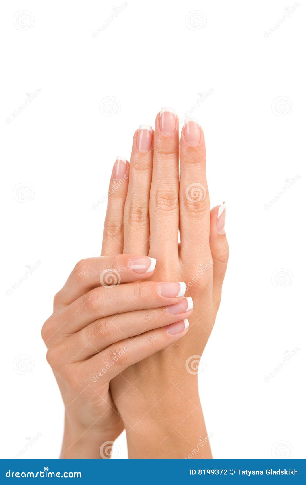Beautiful female hands stock photo. Image of health, body - 8199372
