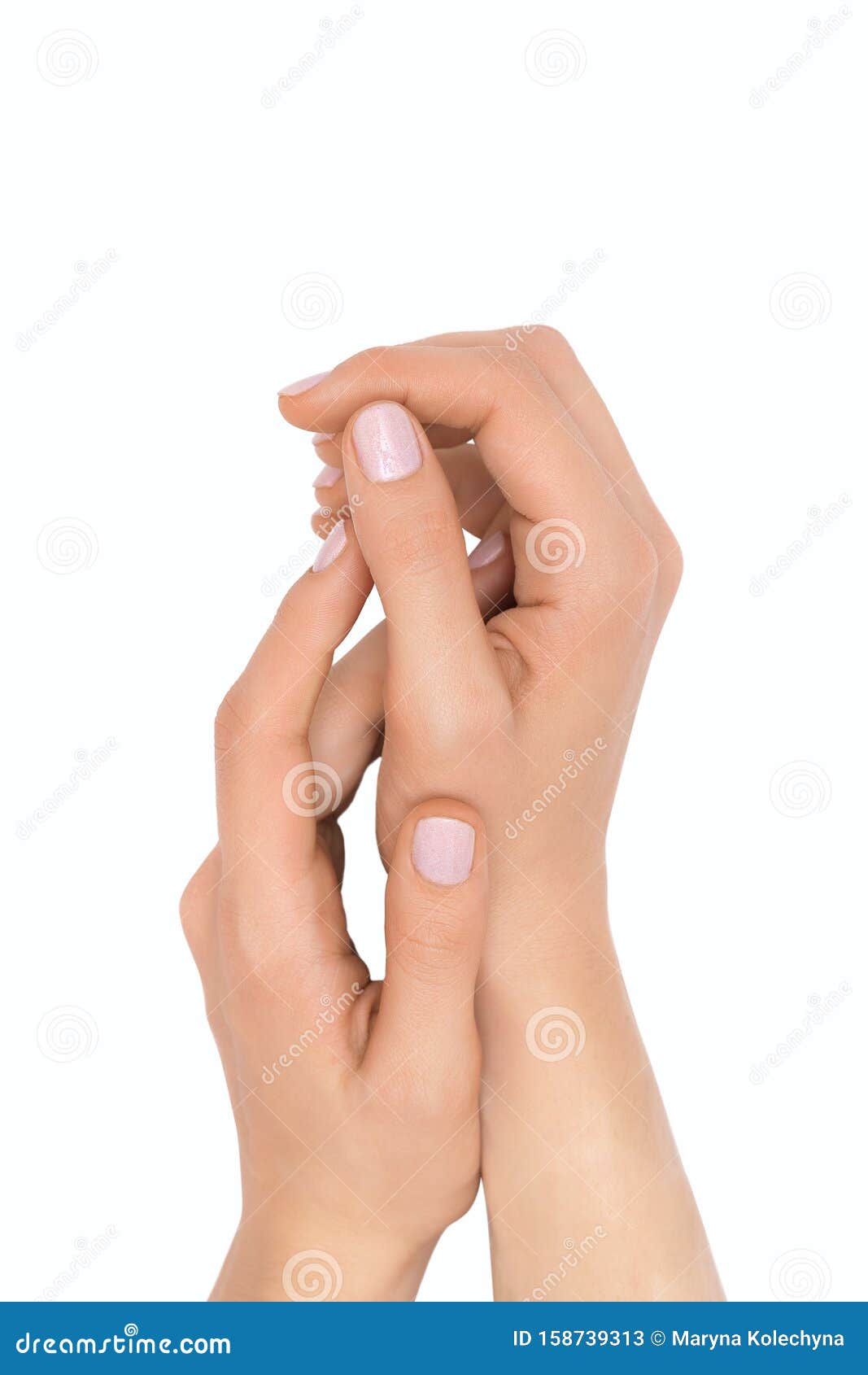 Beautiful Female Hands Isolated on White Background Stock Image - Image ...