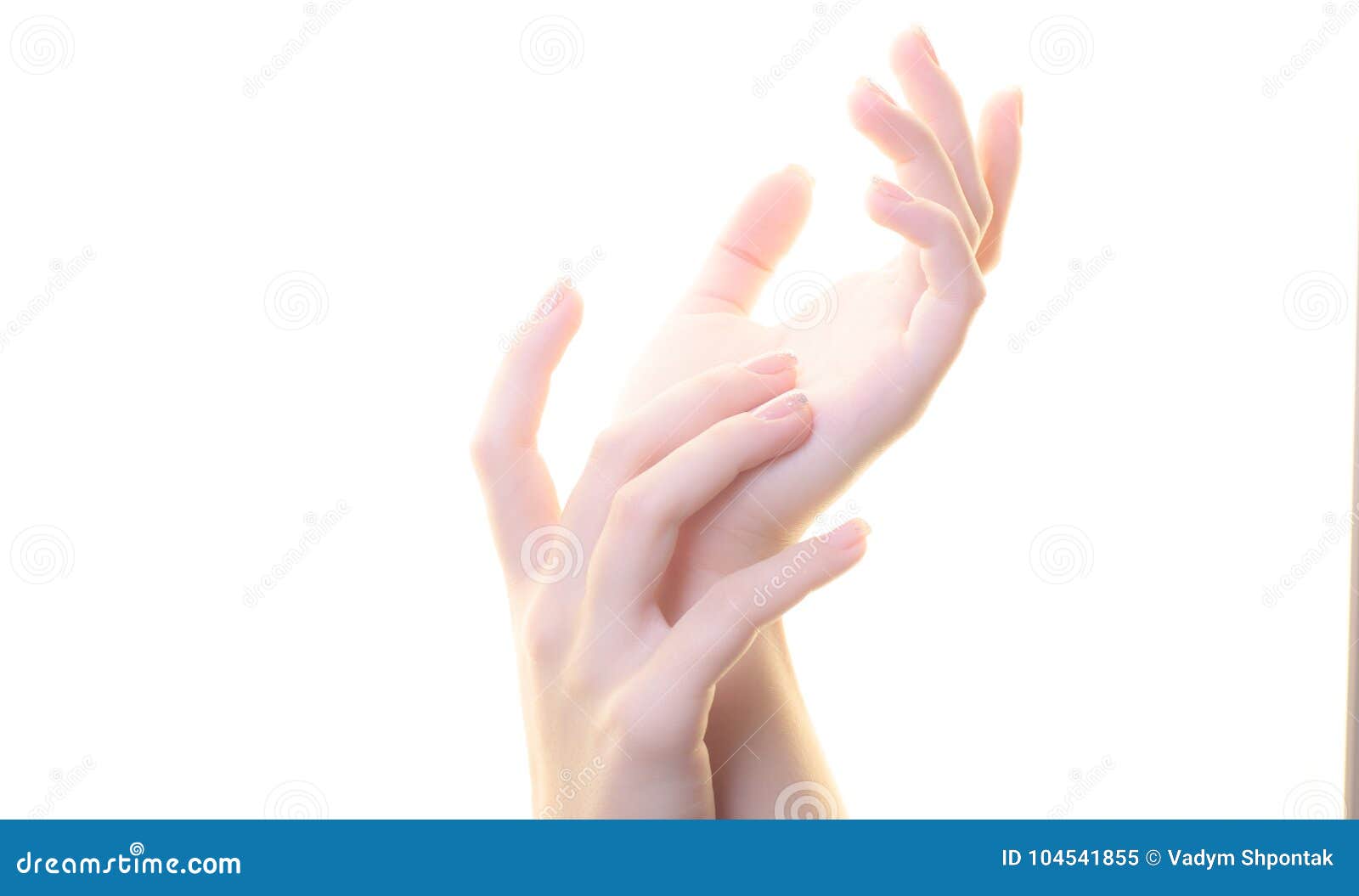 Woman Hands Isolated Stock Image Image Of Holding Background 104541855