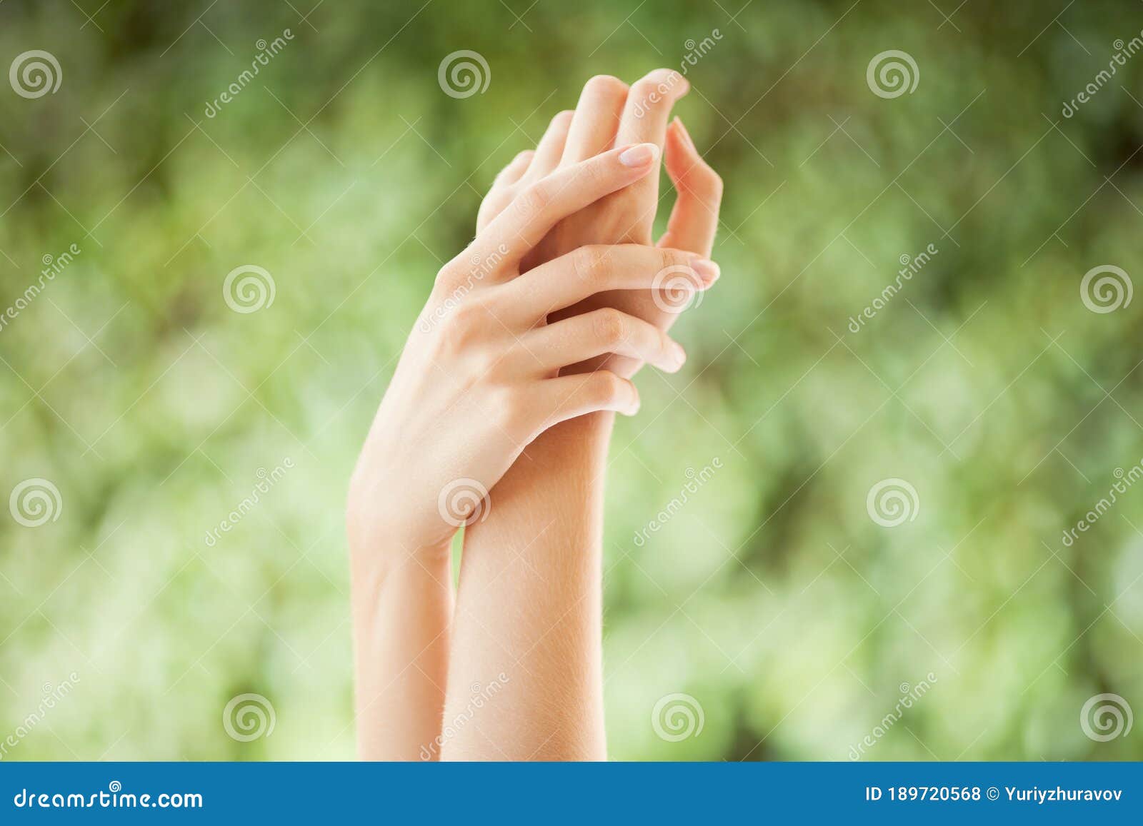 Beautiful Female Hands on Natural Green Background Stock Photo - Image ...