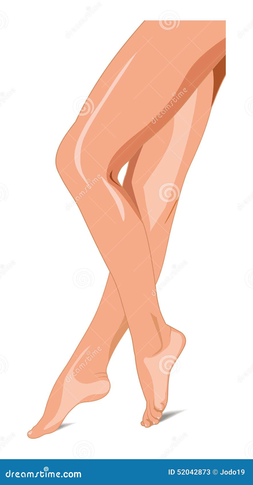 Beautiful female legs stock vector. Illustration of paint - 52042873