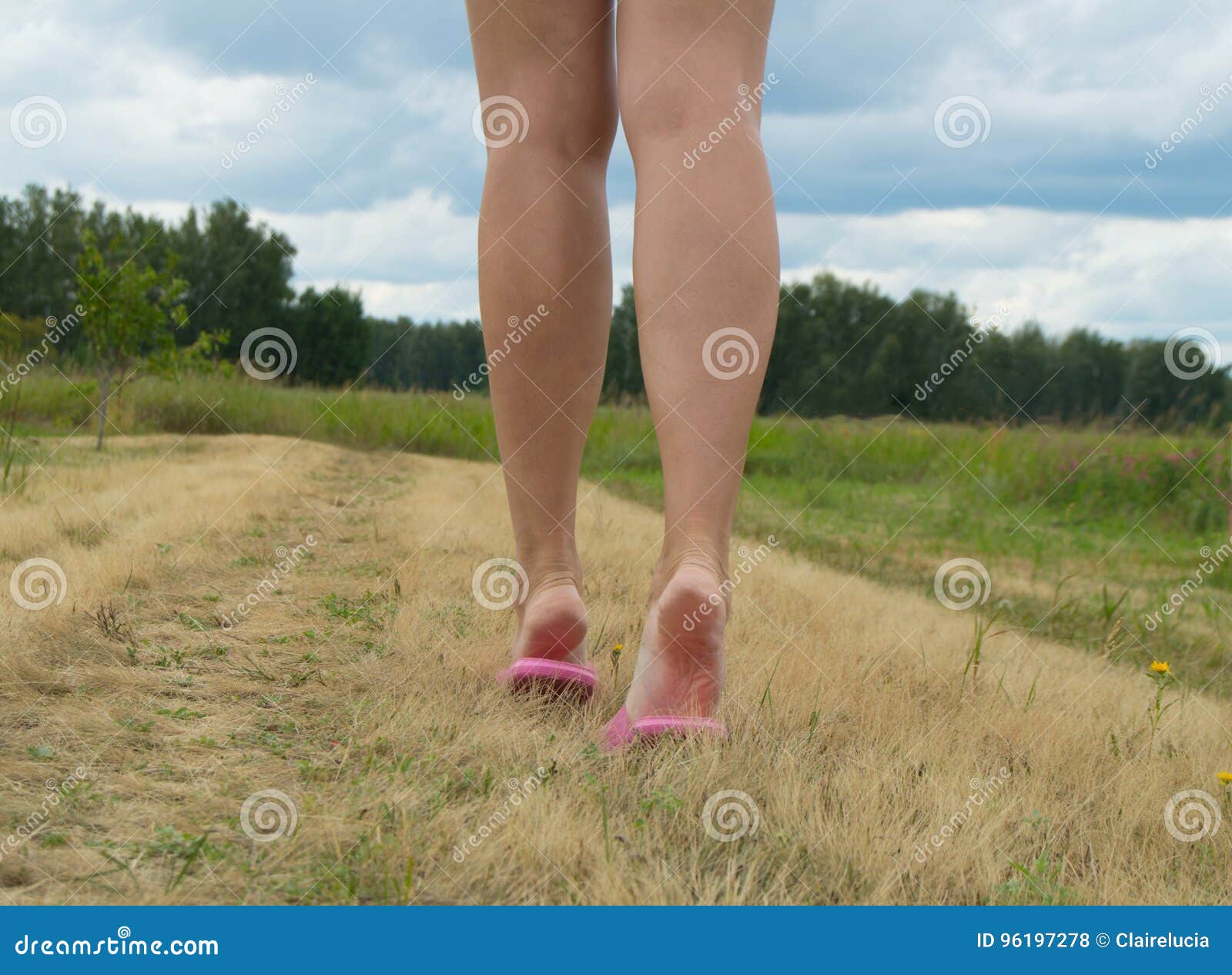 Beautiful Female Legs Walking on the Grass in the Summer Stock Photo ...