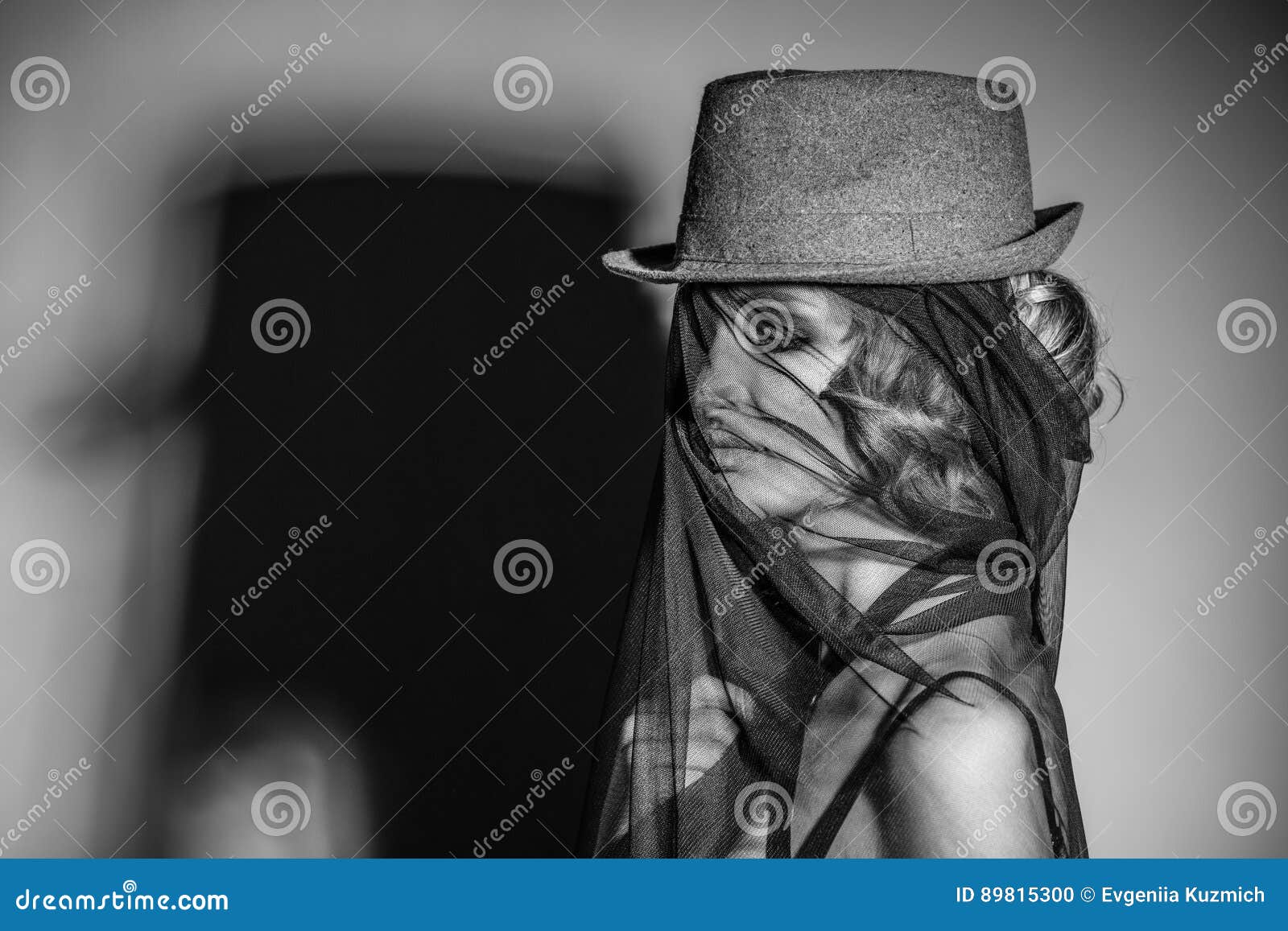 Beautiful Female Model with Hat and Veil on the Face with Shadow Stock ...
