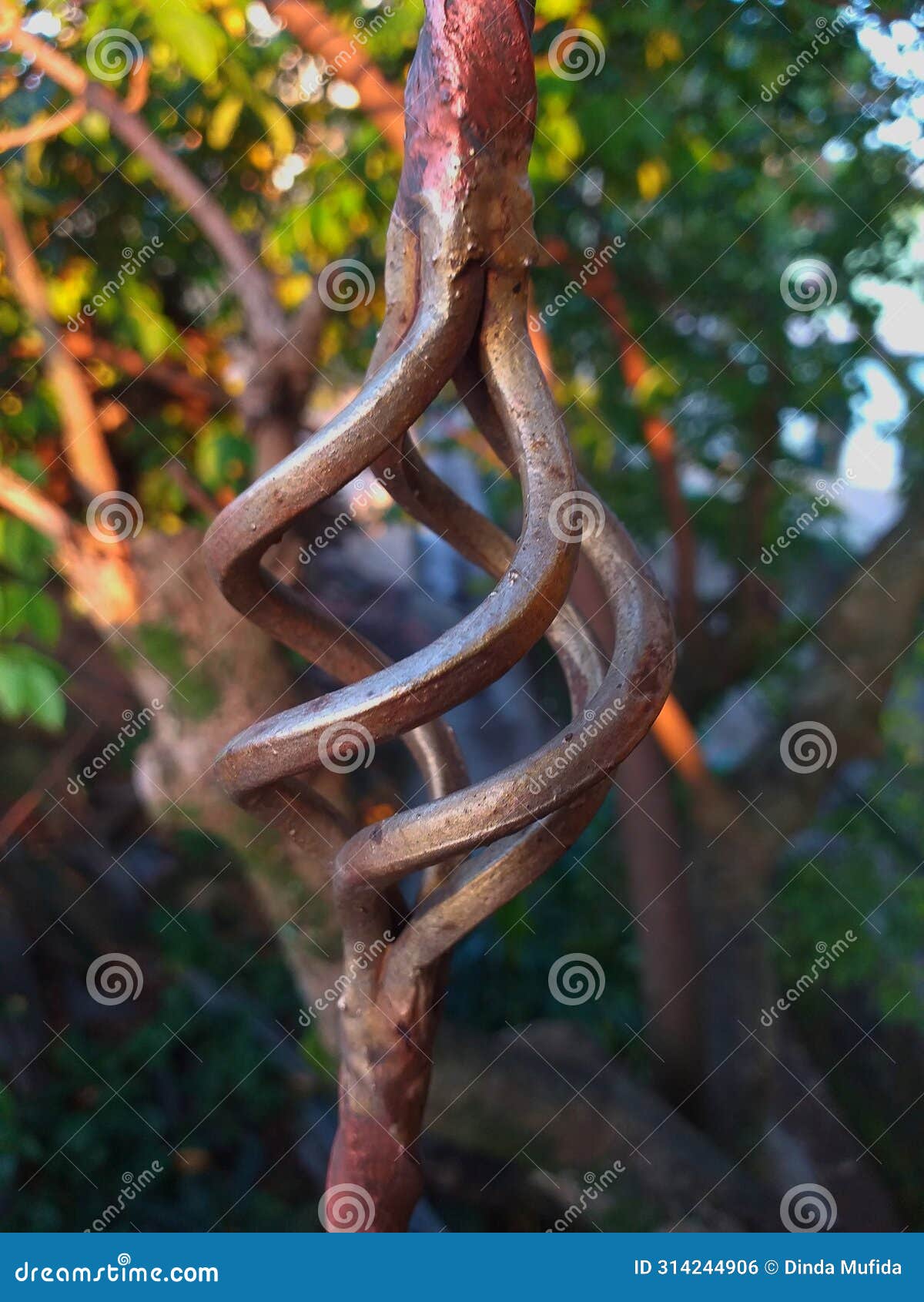 Beautiful fence post shape stock photo. Image of abstract - 314244906