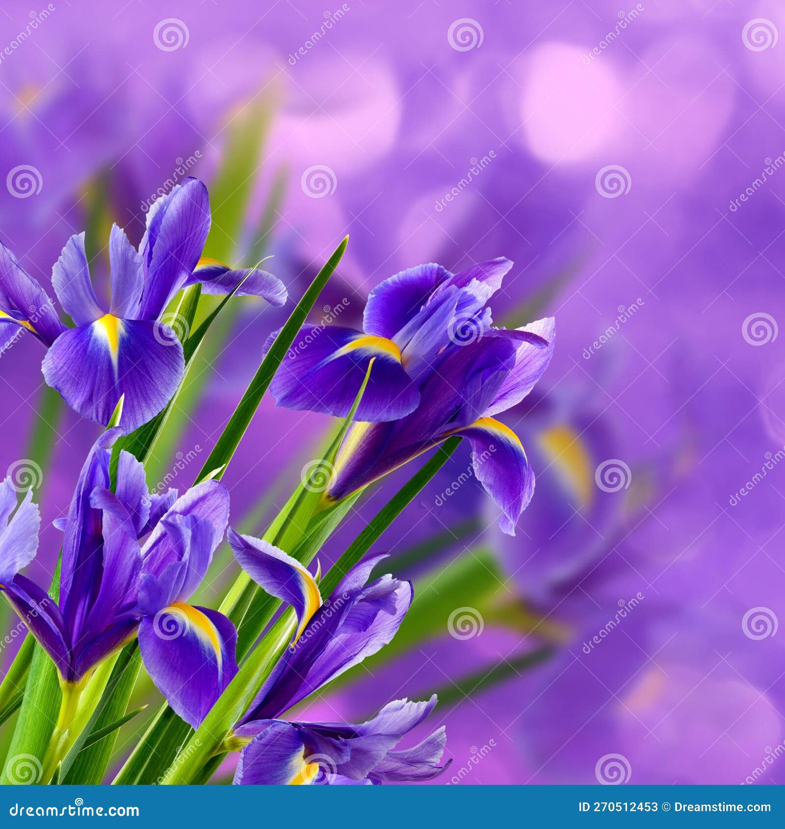 Beautiful Festive Flowers on Colorful Background Stock Image - Image of ...