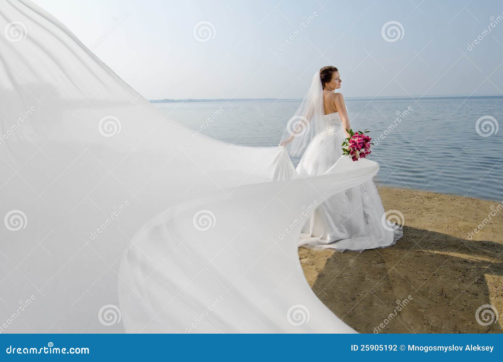 Beautiful fiancee stock photo. Image of train, female - 25905192