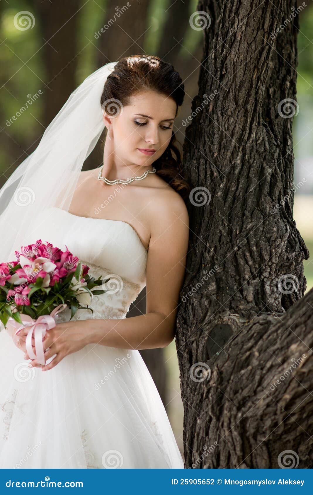 Beautiful fiancee stock photo. Image of portrait, fiancee - 25905652