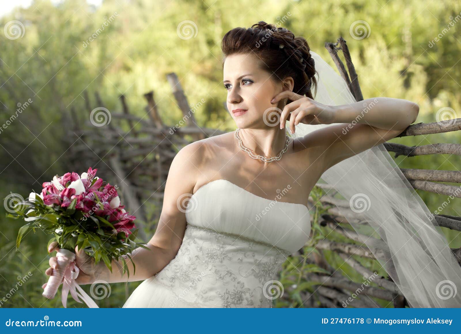 Beautiful fiancee stock photo. Image of bride, positive - 27476178