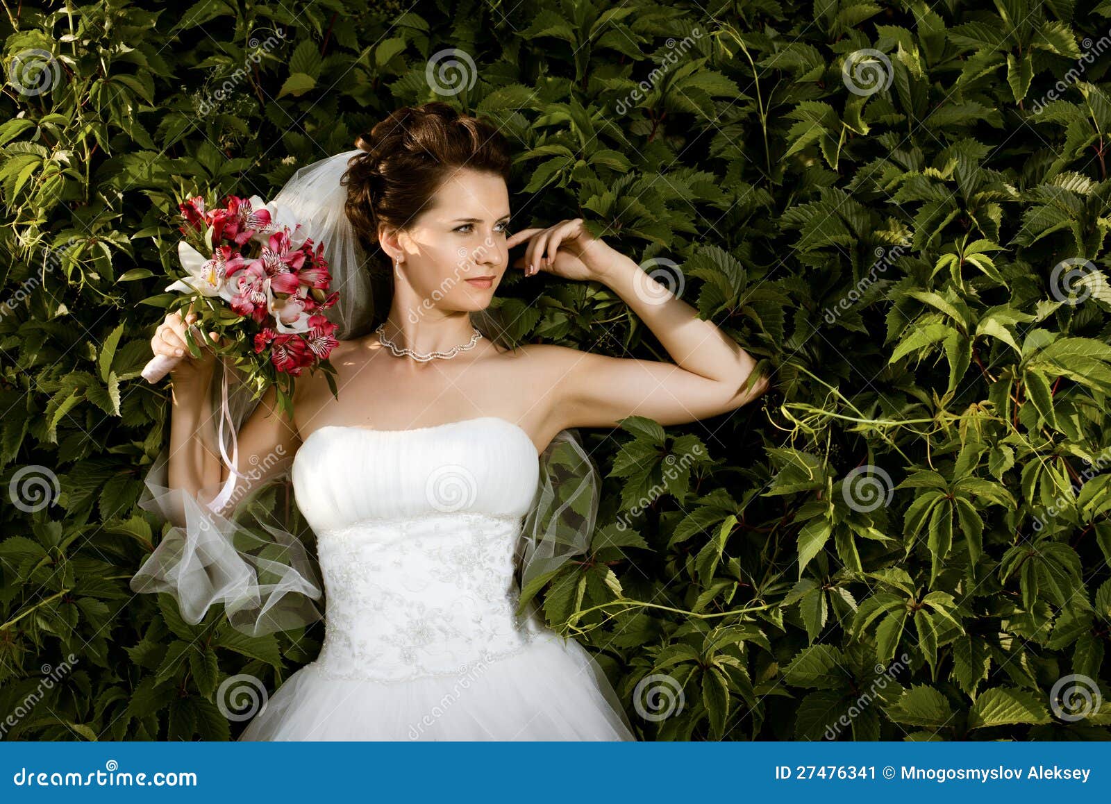 Beautiful fiancee stock image. Image of outdoor, positive - 27476341