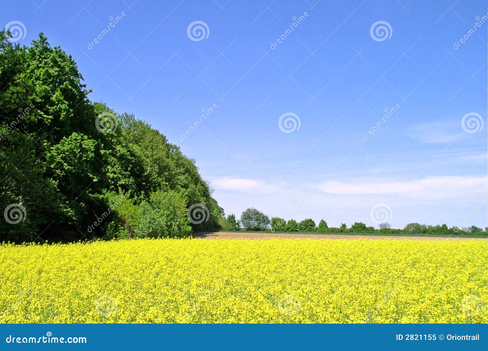 Beautiful field stock image. Image of green, european - 2821155