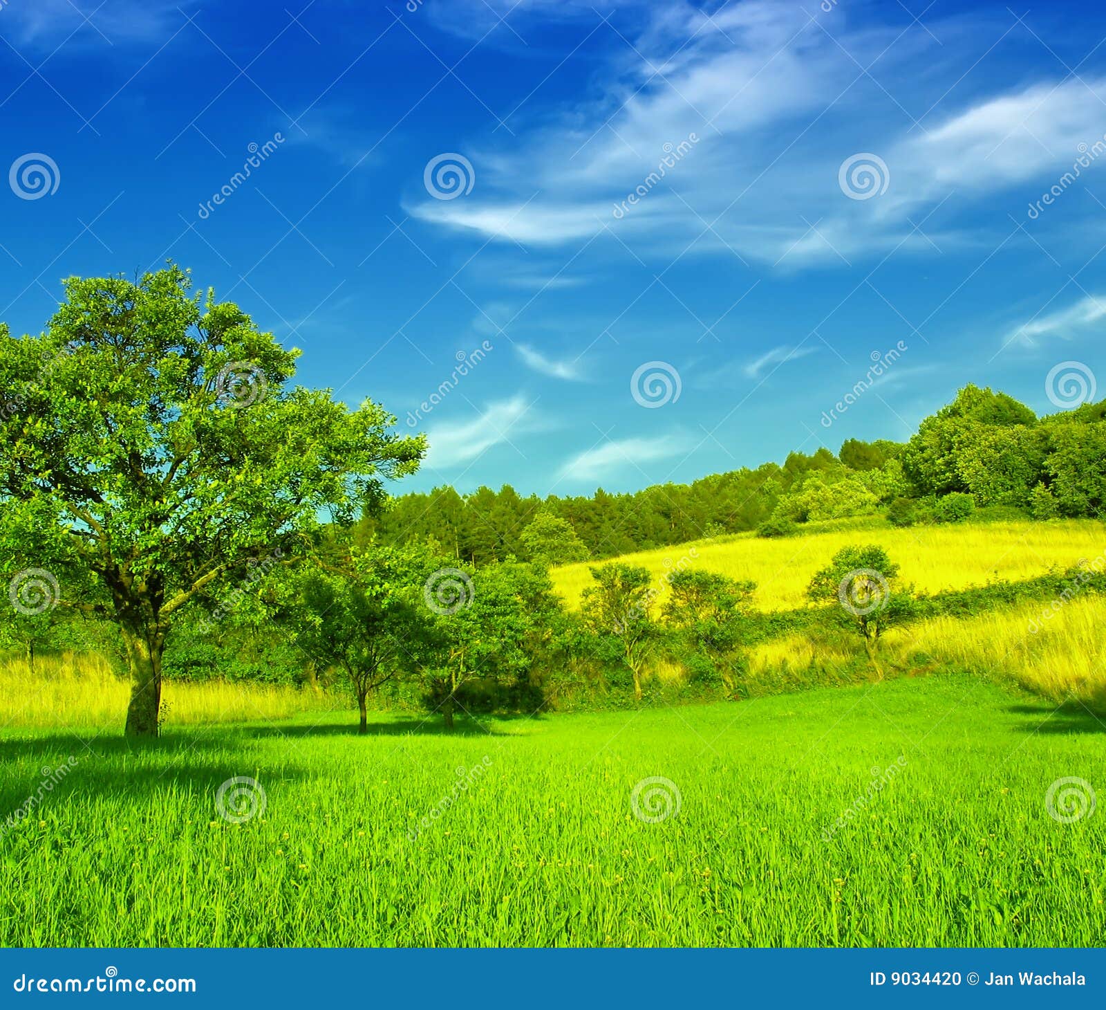Beautiful Field stock photo. Image of relaxation, agriculture - 9034420