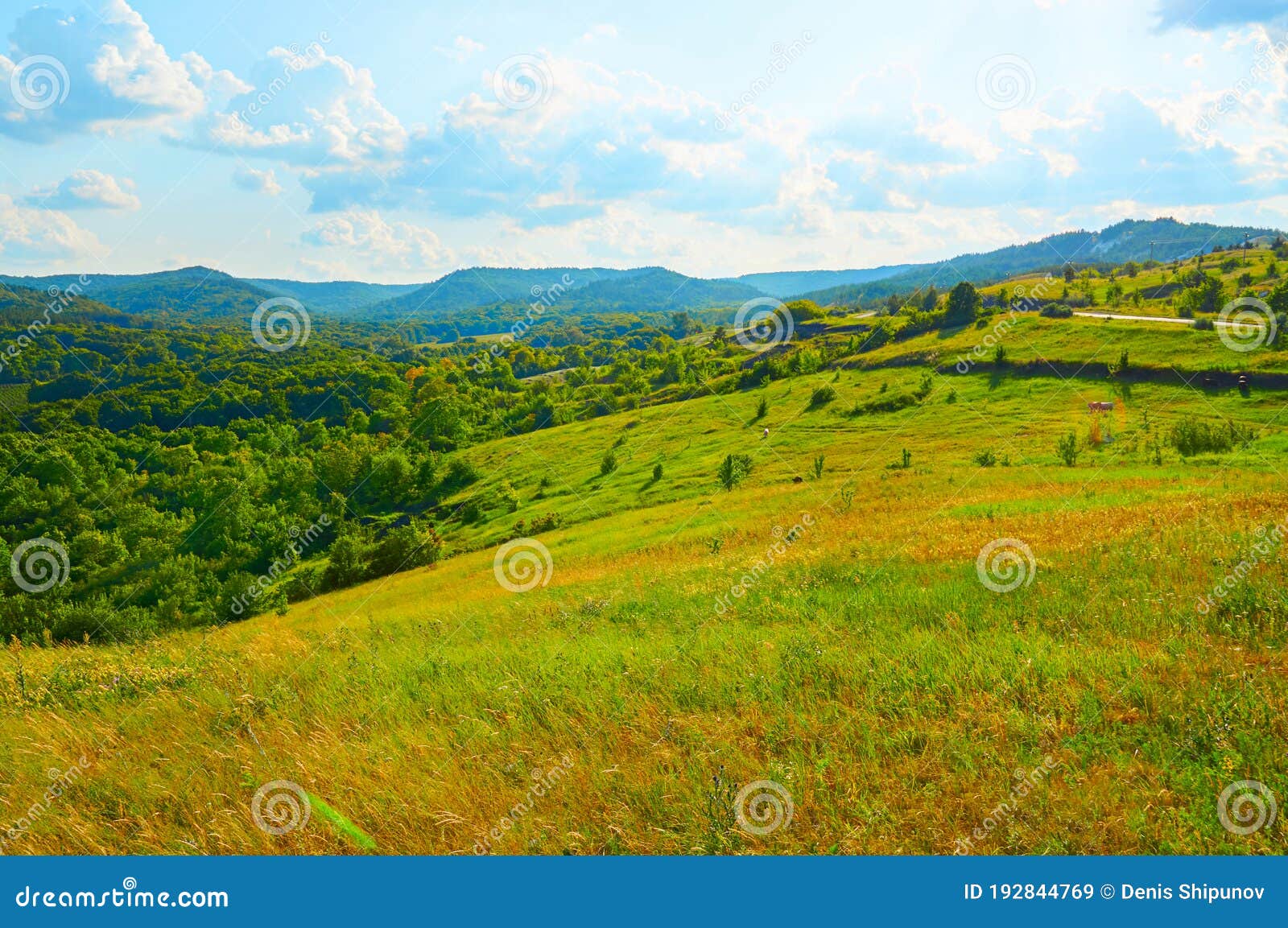 Beautiful Fields Against the Backdrop of Mountains and Blue Sky with ...