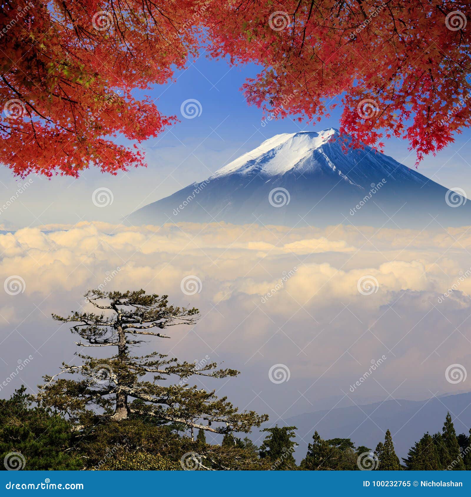 Beautiful Field with Red Maple and Mountain Behind the Tree Stock Image ...