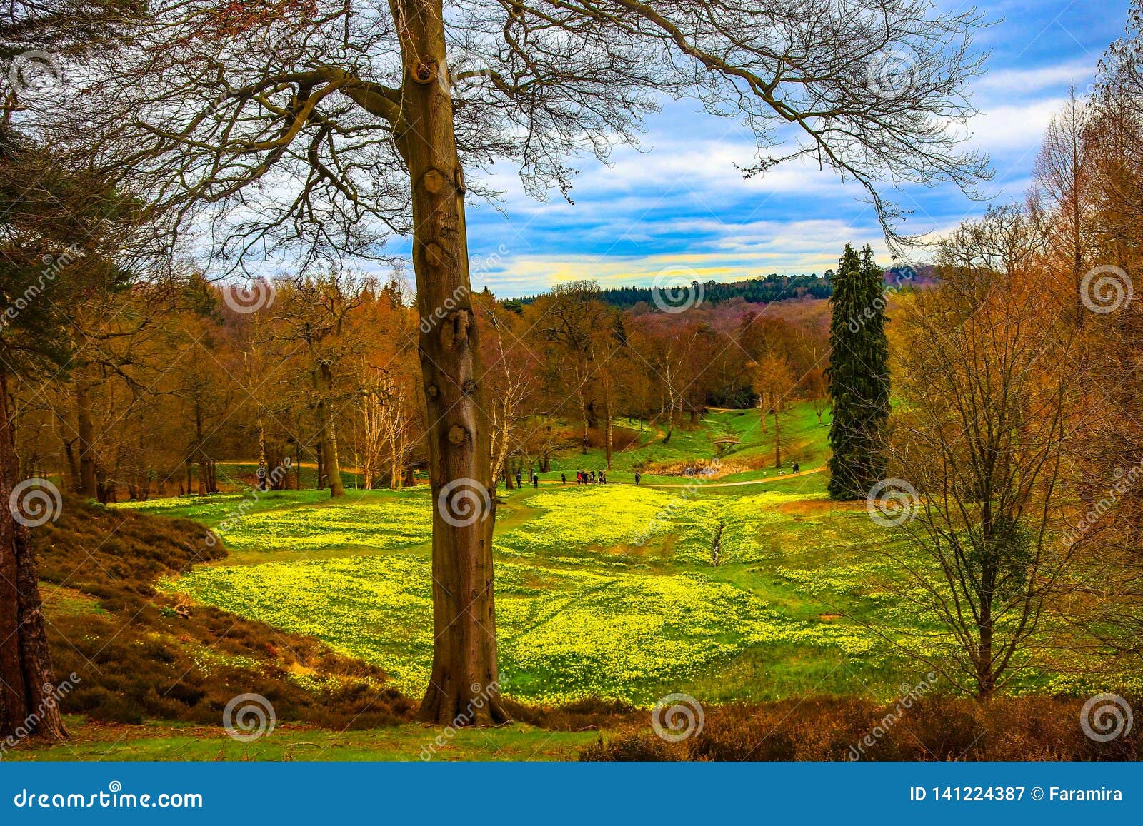 Spring is waking up. stock image. Image of outside, tree - 141224387