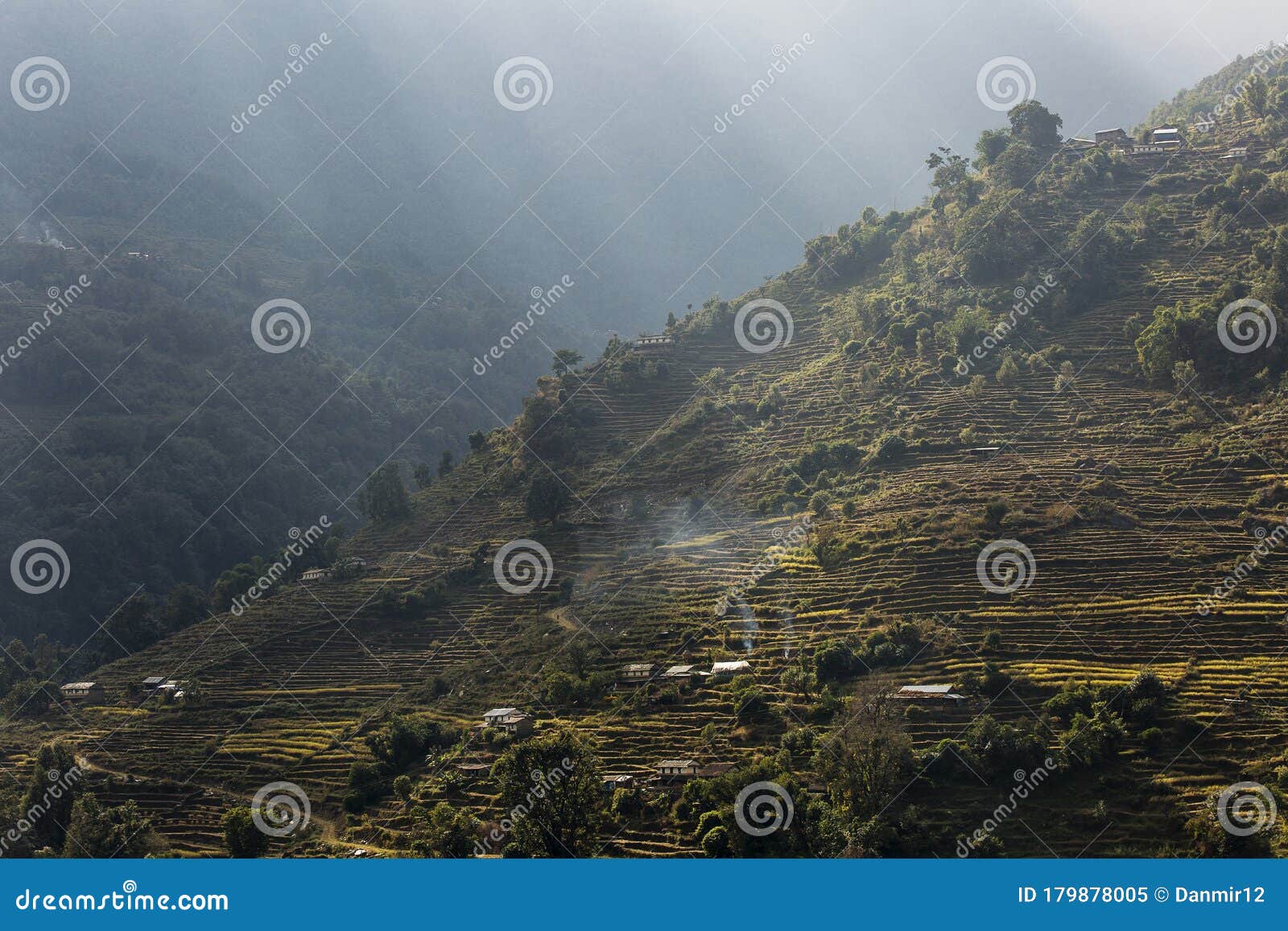 Beautiful Fields of Rice on Trekking in Annapurna Cirquit, Nepal Stock ...