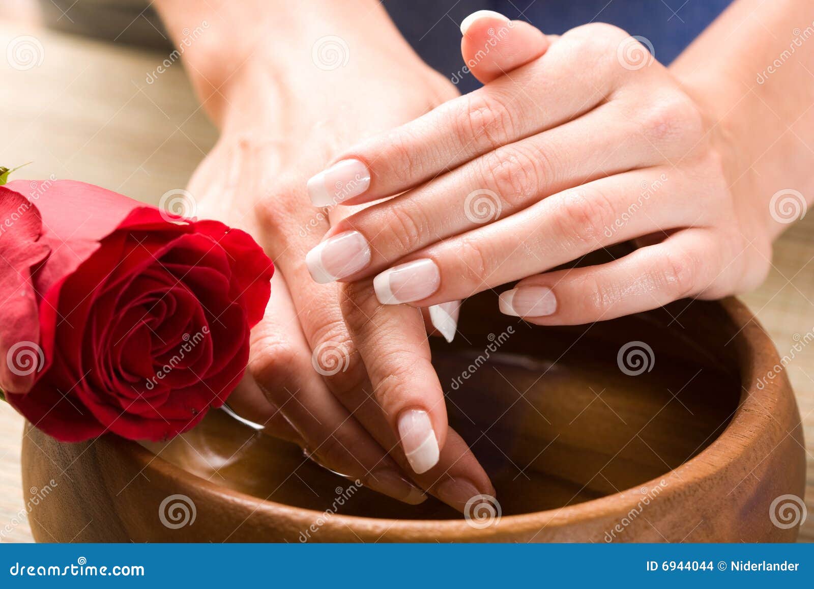 Beautiful fingers stock photo. Image of human, rose, body - 6944044