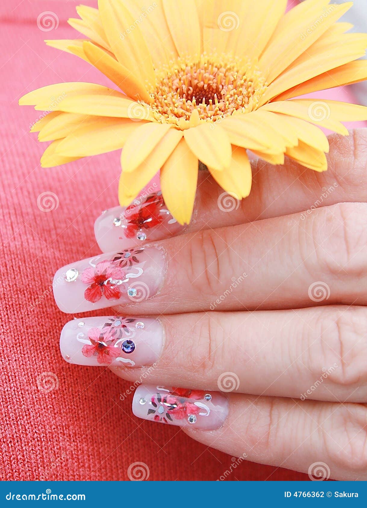Beautiful Fingers Hold Yellow Flower Stock Photo - Image of sunflower ...
