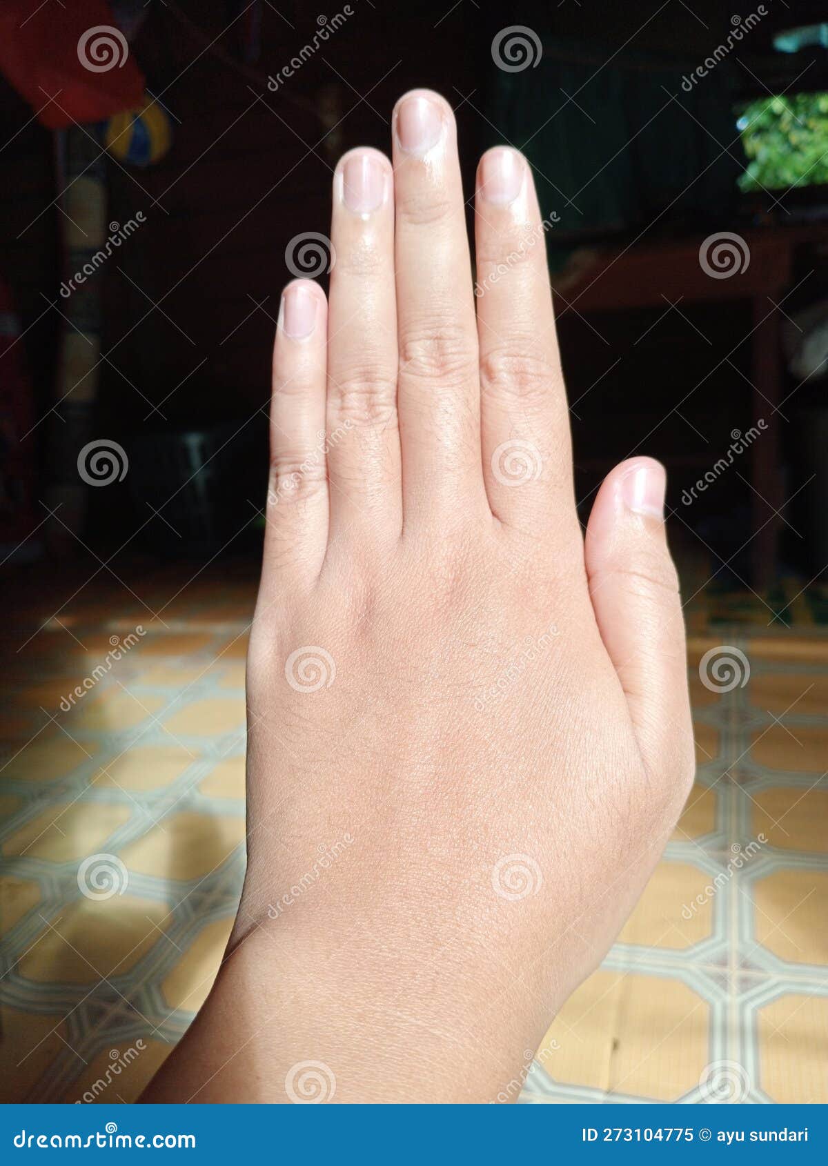 Beautiful Fingers, Slim, White and Smooth Stock Image - Image of slim ...