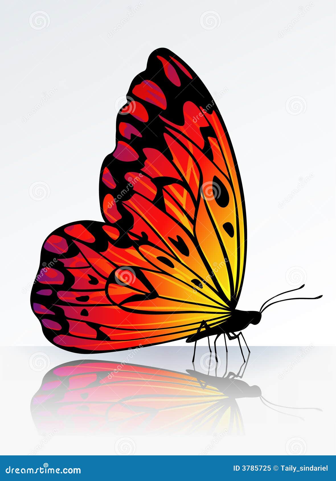 Beautiful Fire-colored Butterfly Royalty Free Stock Photo - Image: 3785725