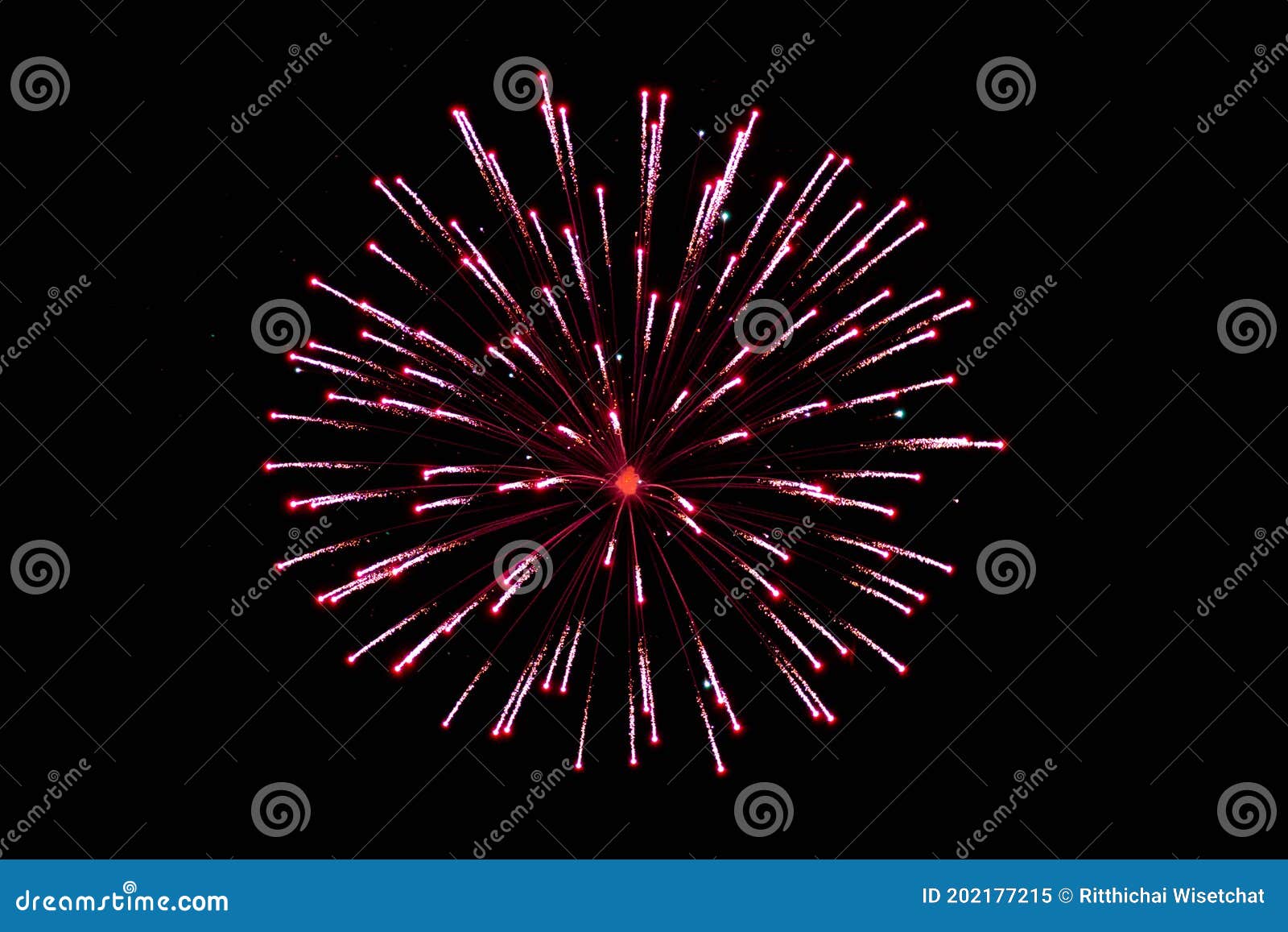 Beautiful Firework on Night Sky Background Stock Image - Image of ...