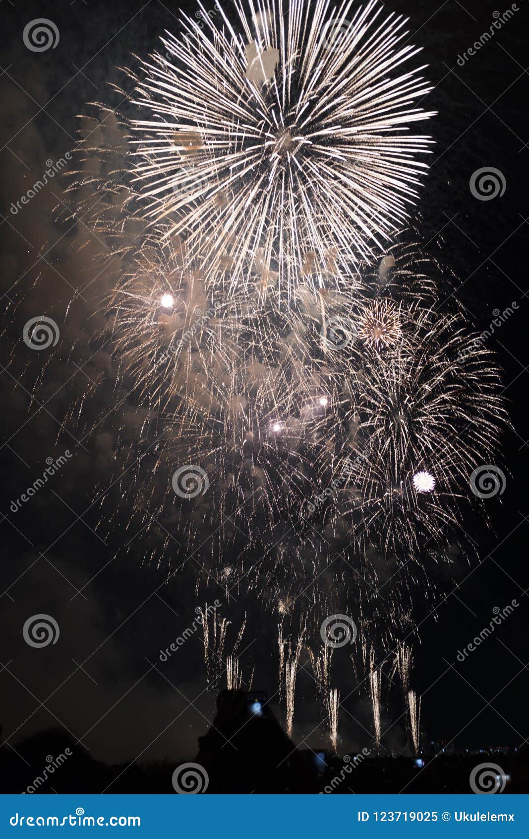 Multiple Fireworks in Night Sky in a Composition in Shades White Stock ...