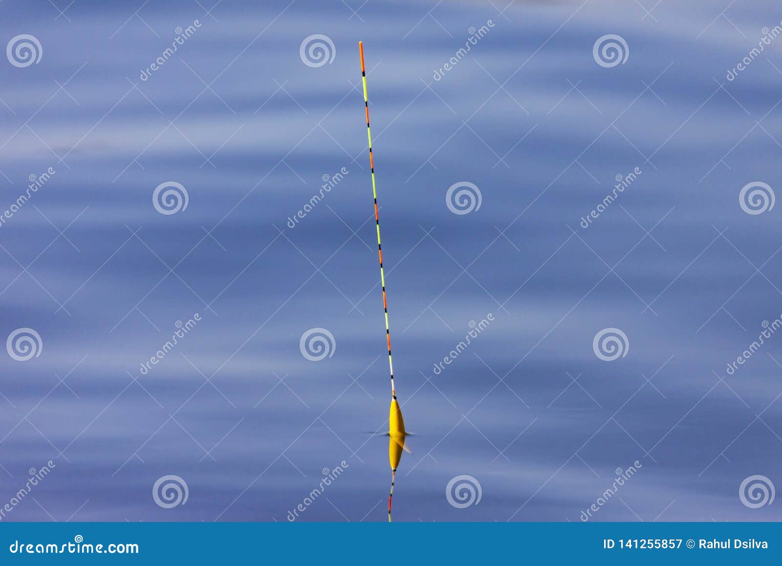 Beautiful Fishing Float is on the Lake and Waiting for the Fish Bite ...