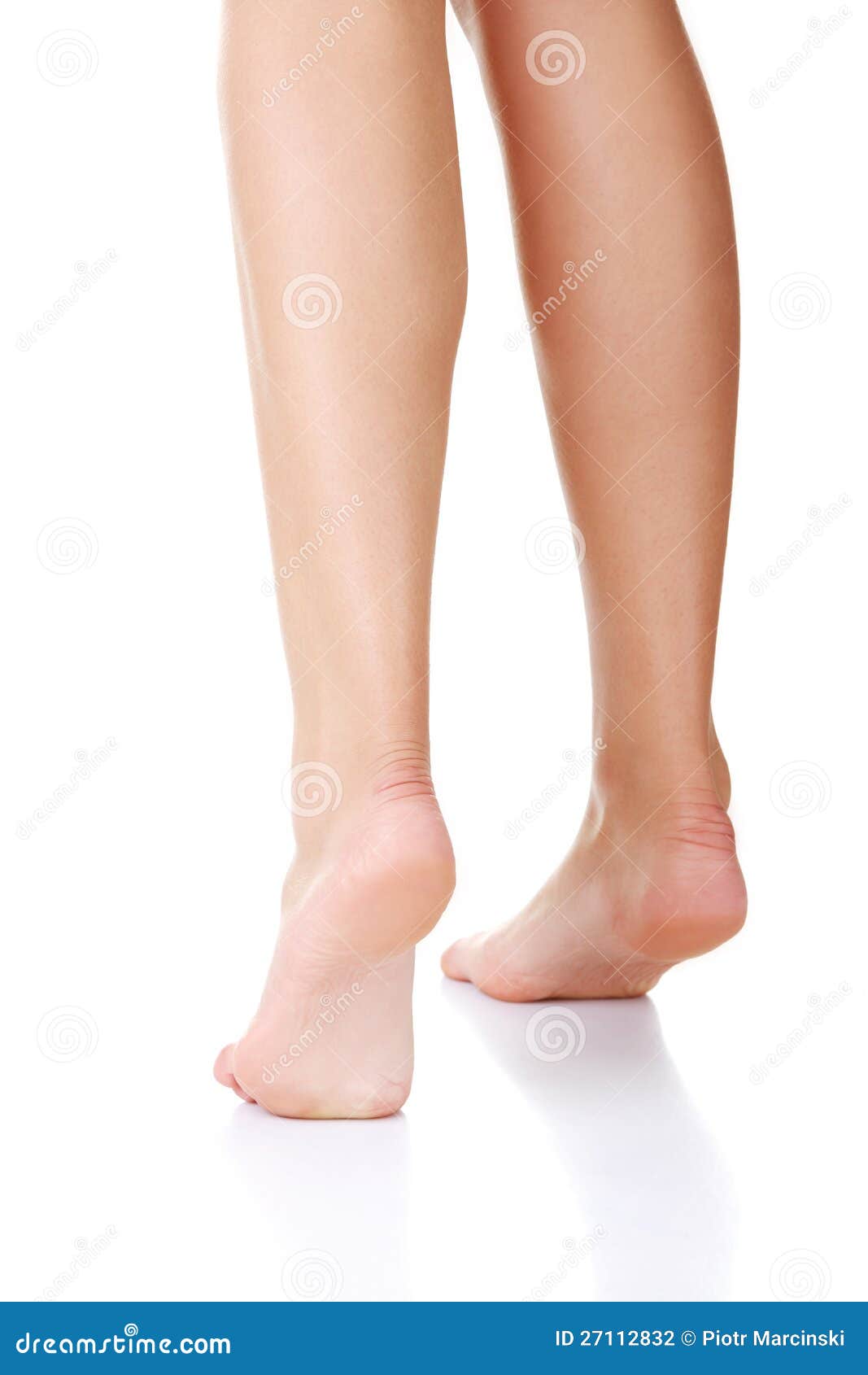 Beautiful Fit Long Female Legs Stock Photo - Image of seduce, healthy ...