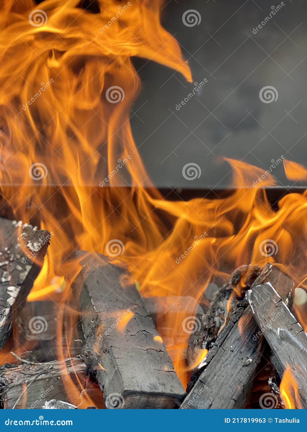 Beautiful Flames of Fire Burning in the Brazier Stock Image - Image of ...