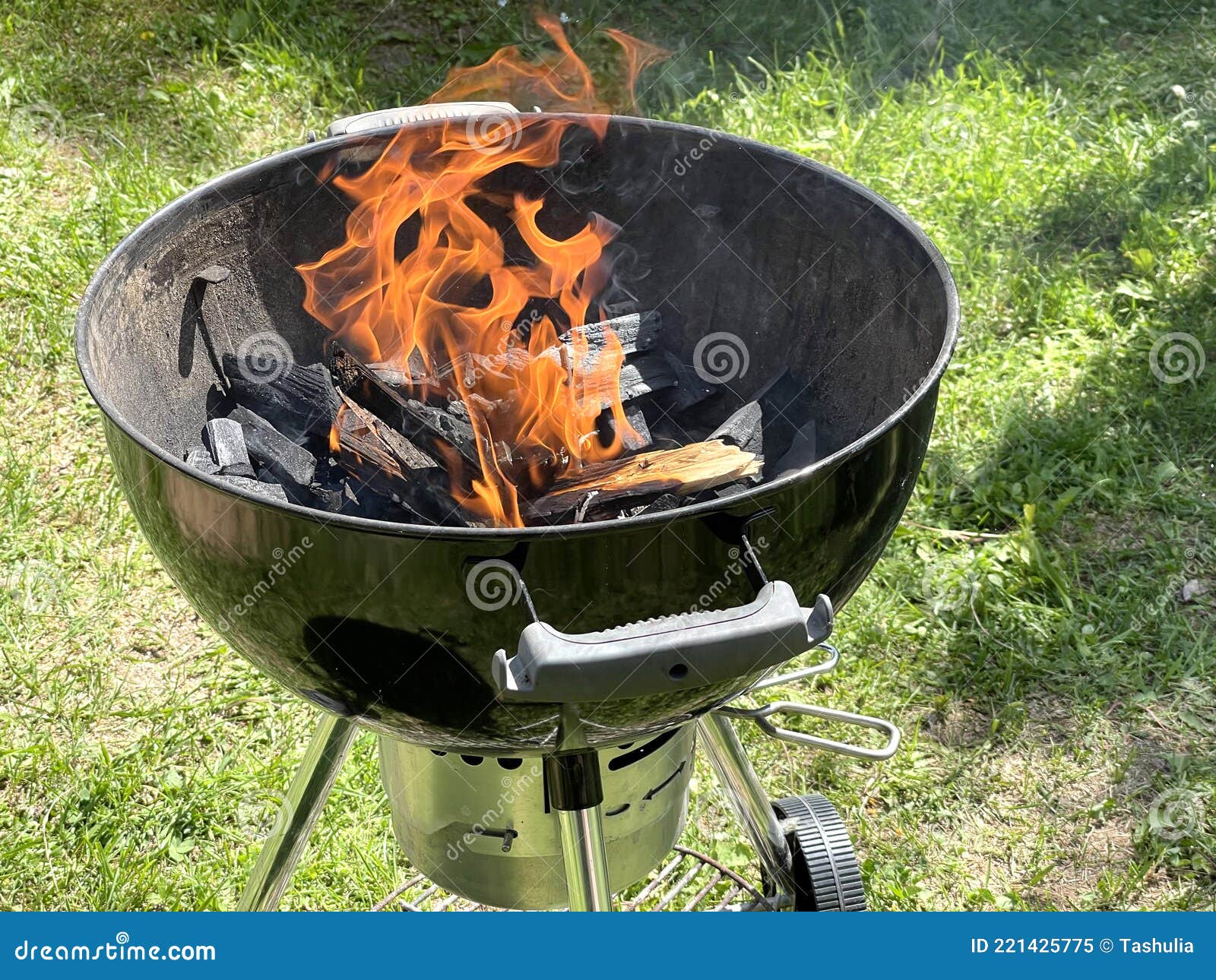 Beautiful Flames of Fire Burning in the Brazier Stock Image - Image of ...
