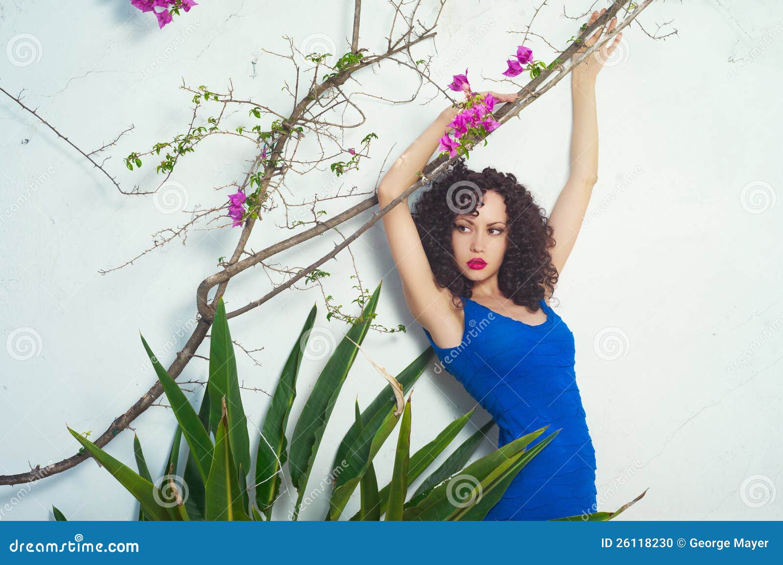Beautiful Flexible Lady of Southern Plants Stock Photo - Image of girl ...