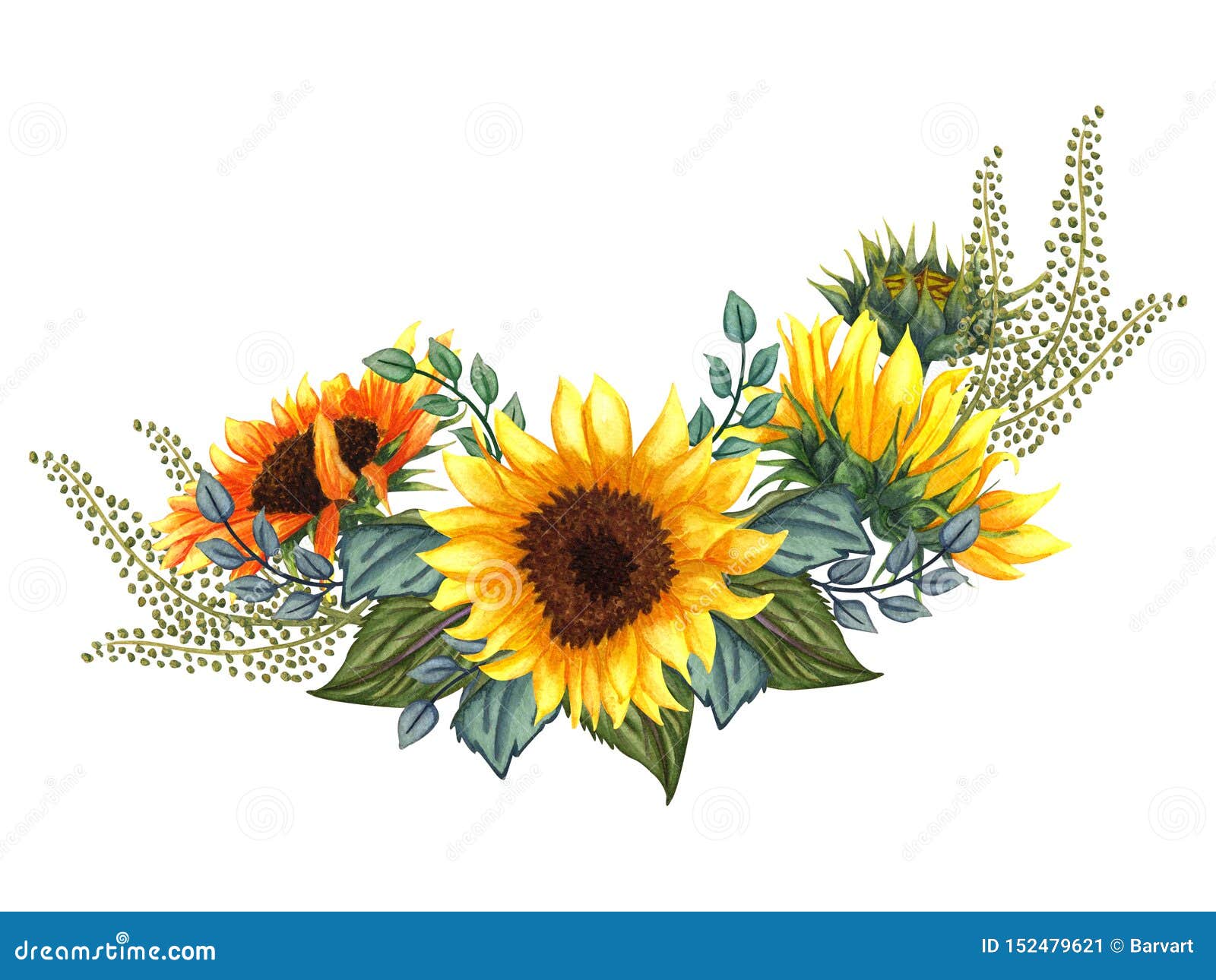 Beautiful Floral Collection with Sunflowers,leaves,branches,fern Leaves ... Beautiful Floral Collection with Sunflowers,leaves,branches,fern Leaves ...