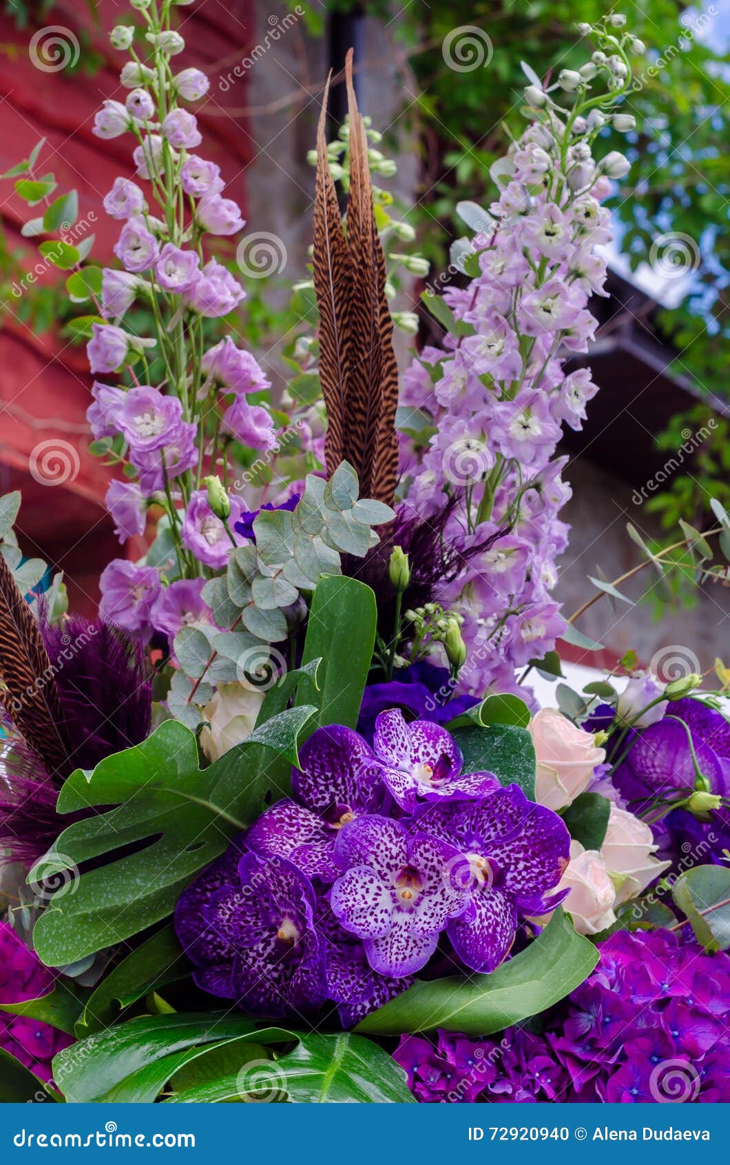 Beautiful Floral Composition Stock Photo - Image of composition ...