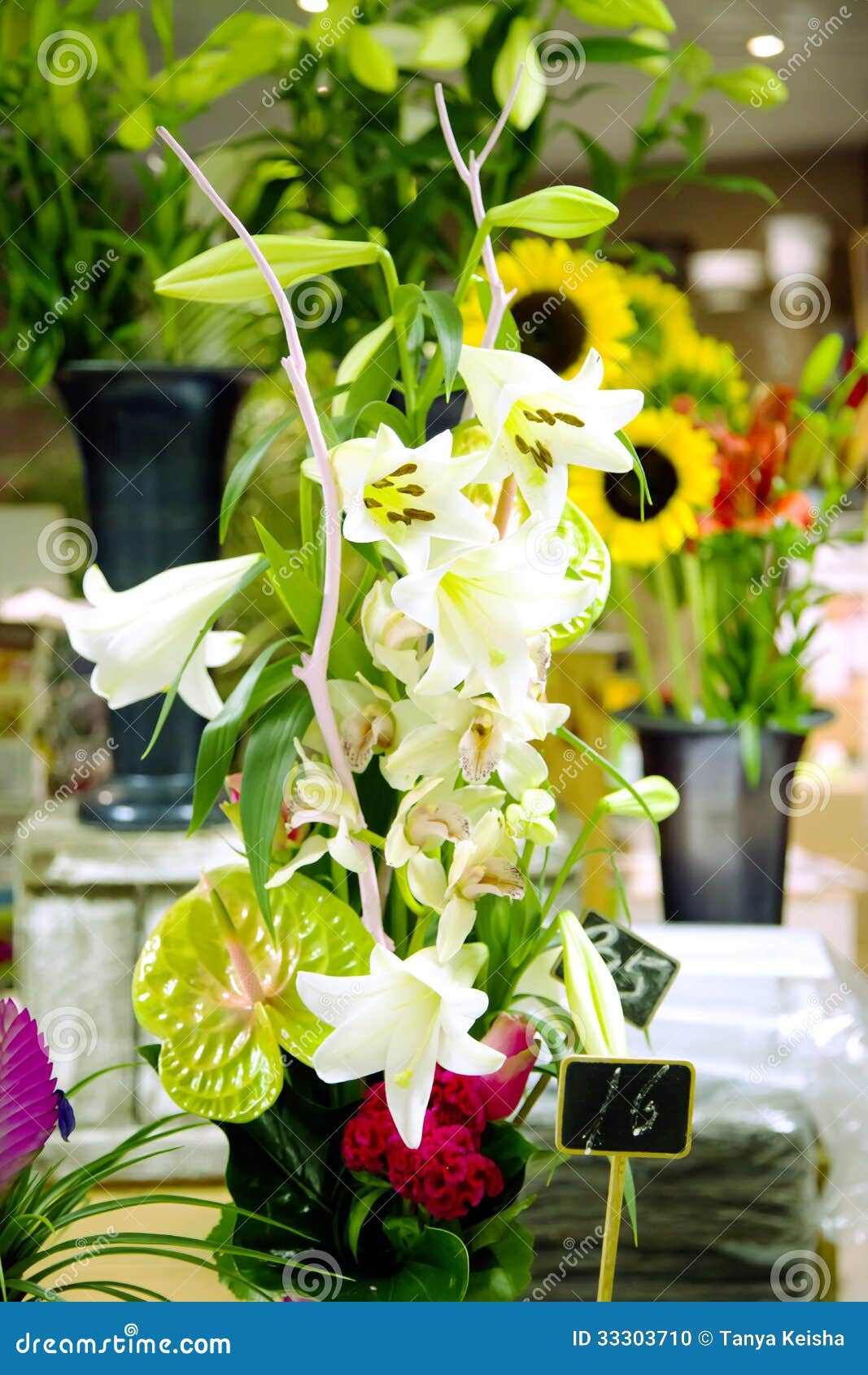 Beautiful Floristic Composition Stock Photo - Image of bouquets, nature ...