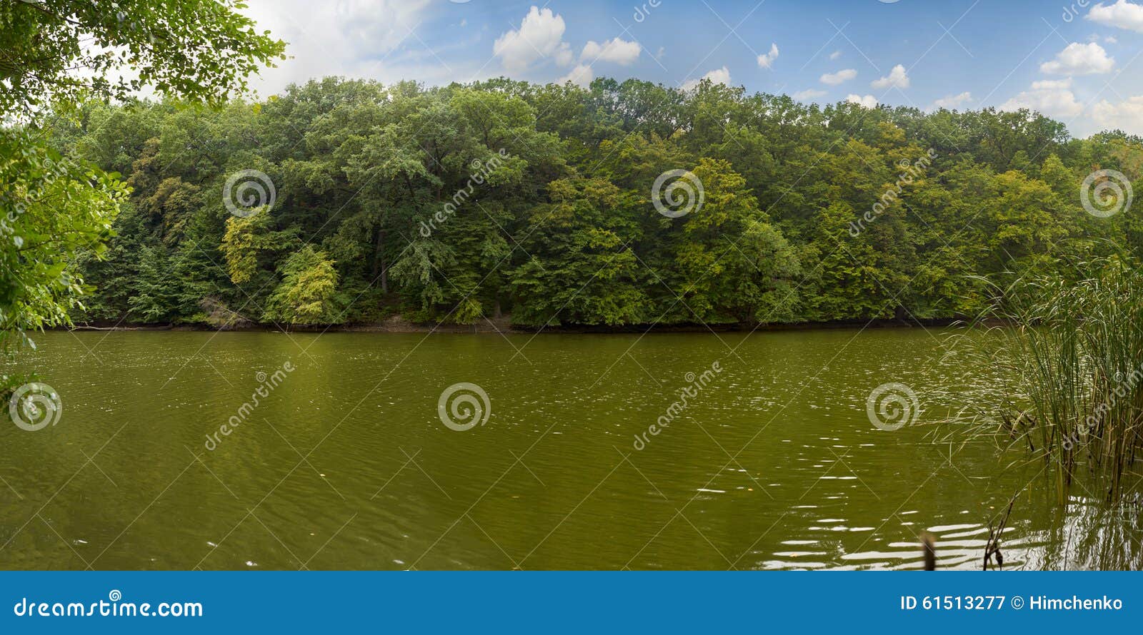 Beautiful Flow of the River in the Spring Stock Image - Image of ...