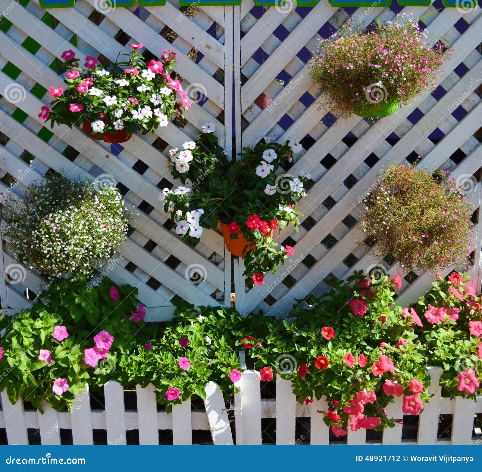 Beautiful Flowe Pot Wall Photos - Free & Royalty-Free Stock Photos from ...