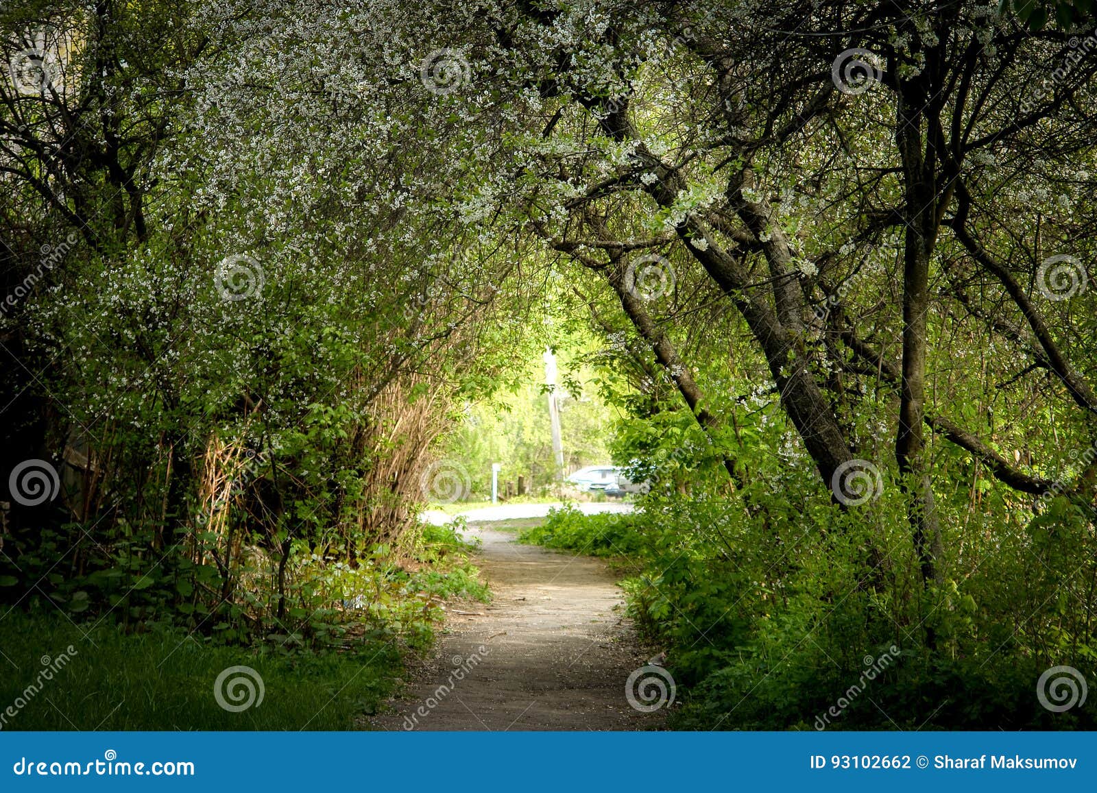 127,779 Beautiful Footpath Stock Photos - Free & Royalty-Free Stock ...
