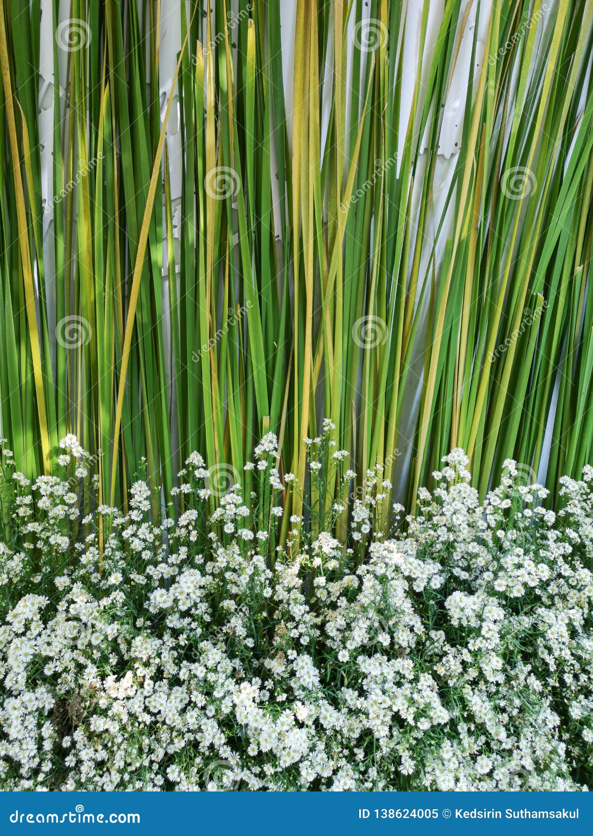 Flower Backdrop Designs Background Stock Image - Image of designs ...