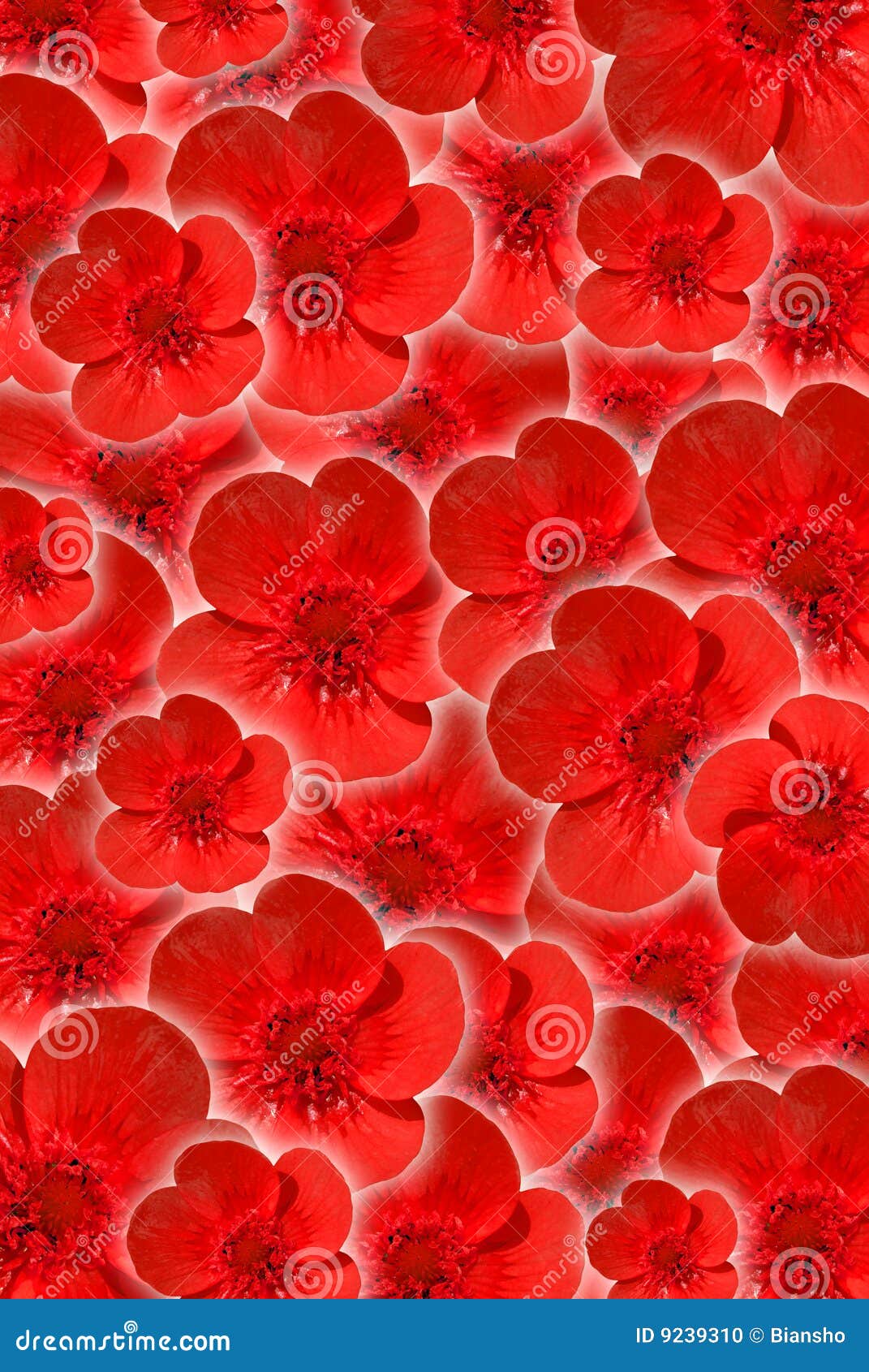 1,013,510 Beautiful Red Flower Background Stock Photos - Free & Royalty ...