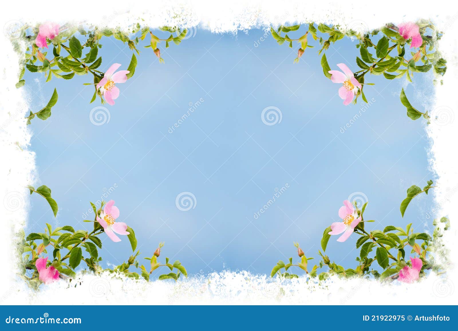 Beautiful flower frame stock image. Image of arrangement - 21922975