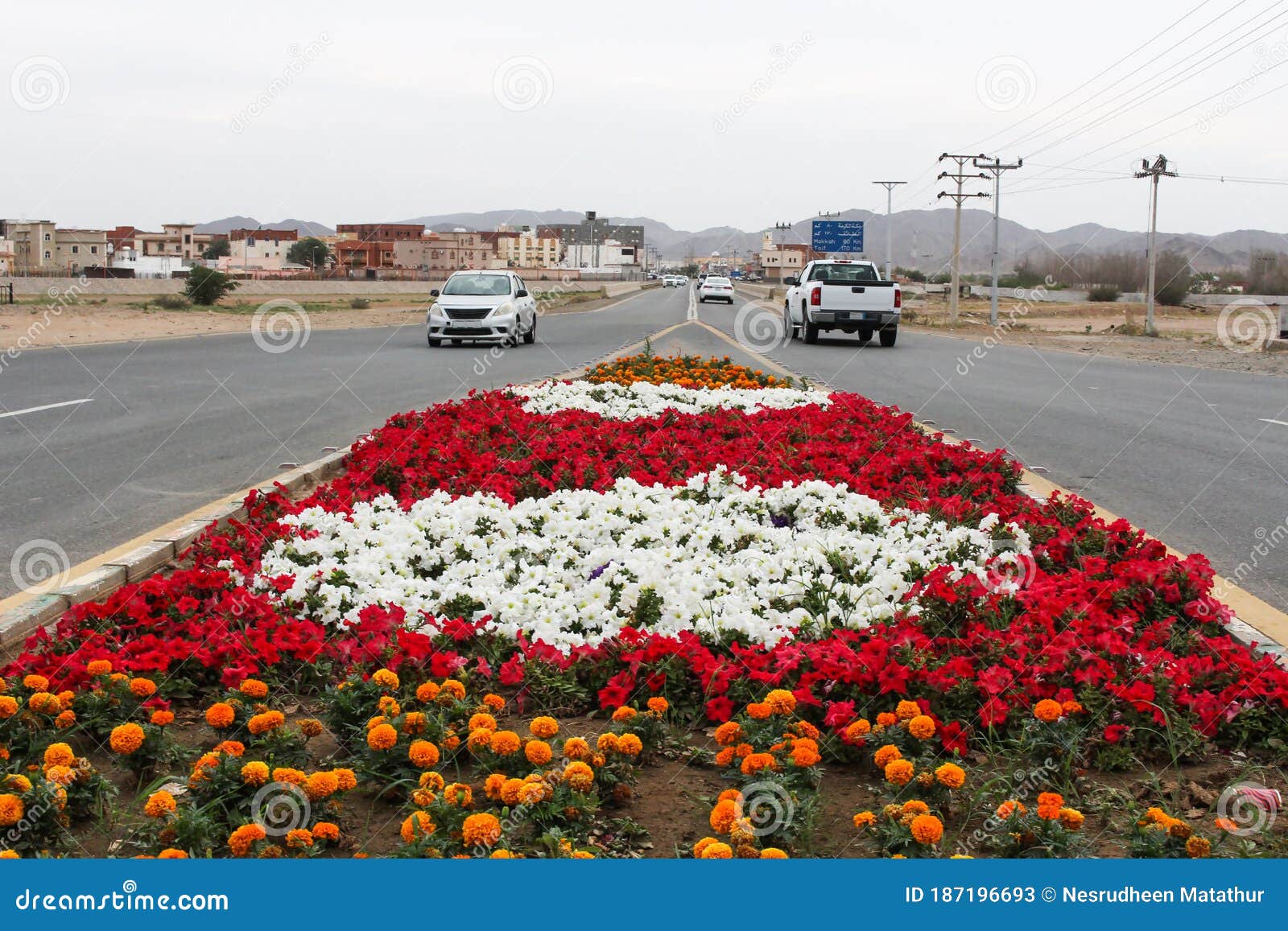 Beautiful Flower Garden in Road Footpath Stock Image - Image of foot ...