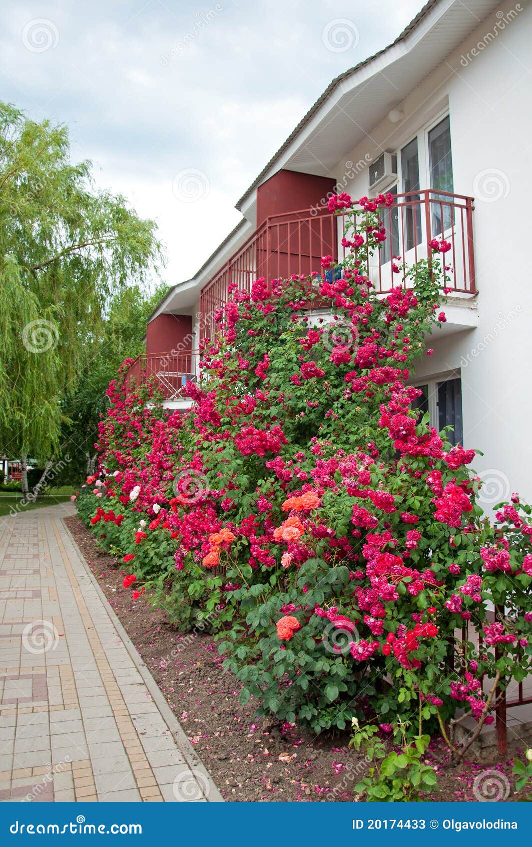 A Beautiful Flower Garden of Roses Stock Image - Image of house ...