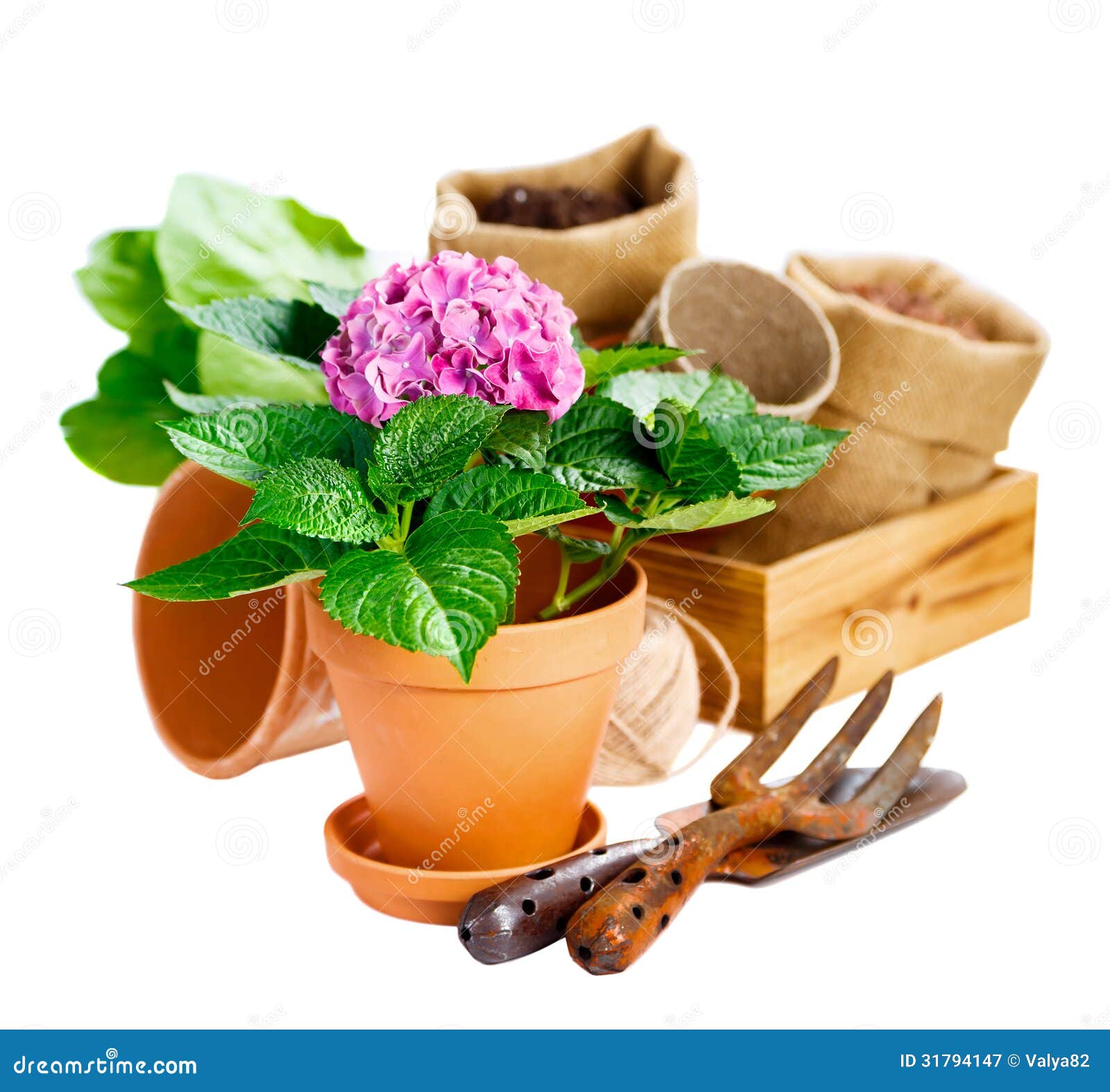 Beautiful Flower with Garden Tools Stock Image - Image of garden ...