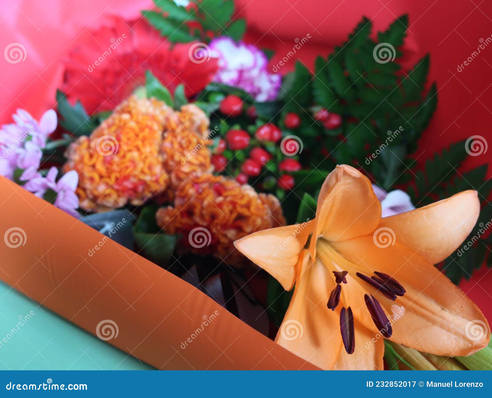 Beautiful Flower Master with Natural Bright Colors Aroma Gift Stock ...