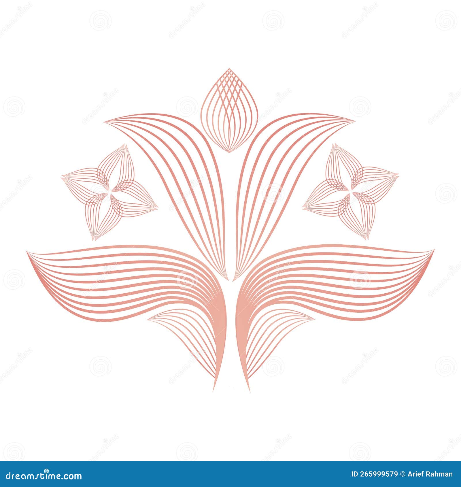 Beautiful Flower Petals, Flower Line Design Stock Vector - Illustration ...
