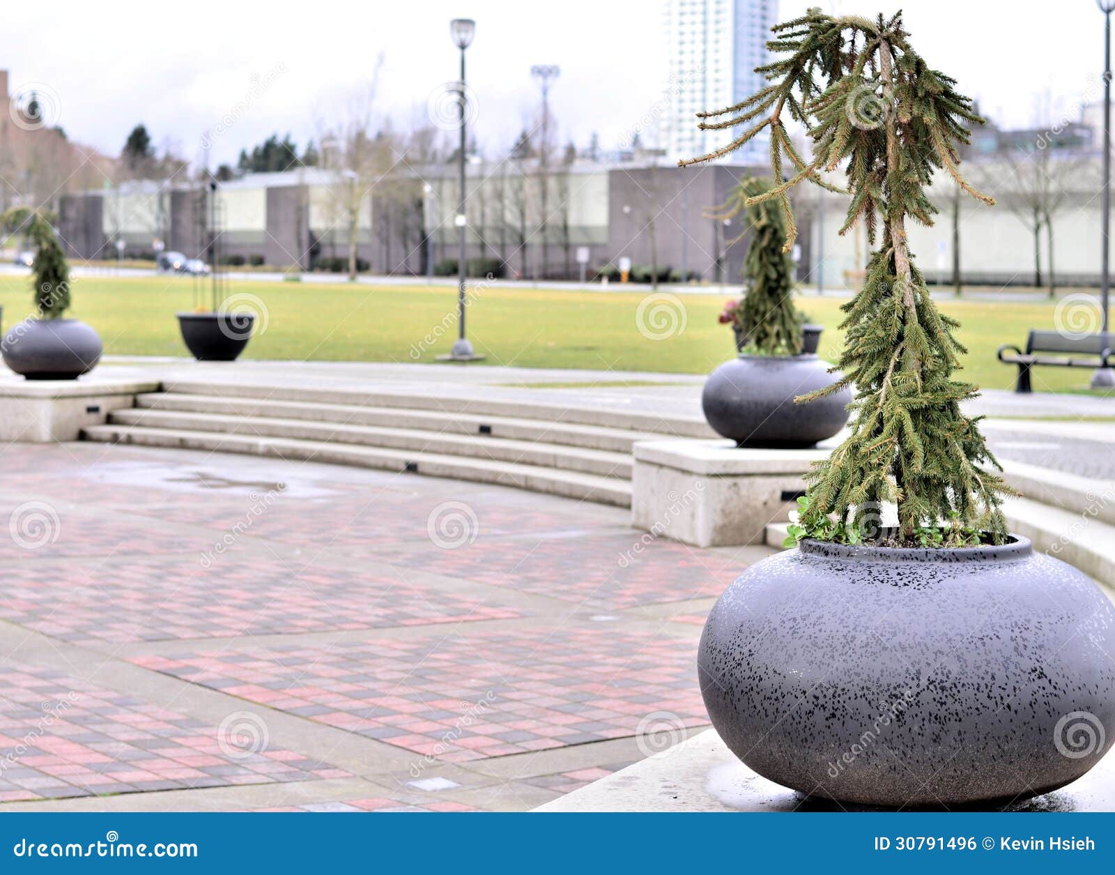Beautiful flower pots stock photo. Image of landscaping - 30791496