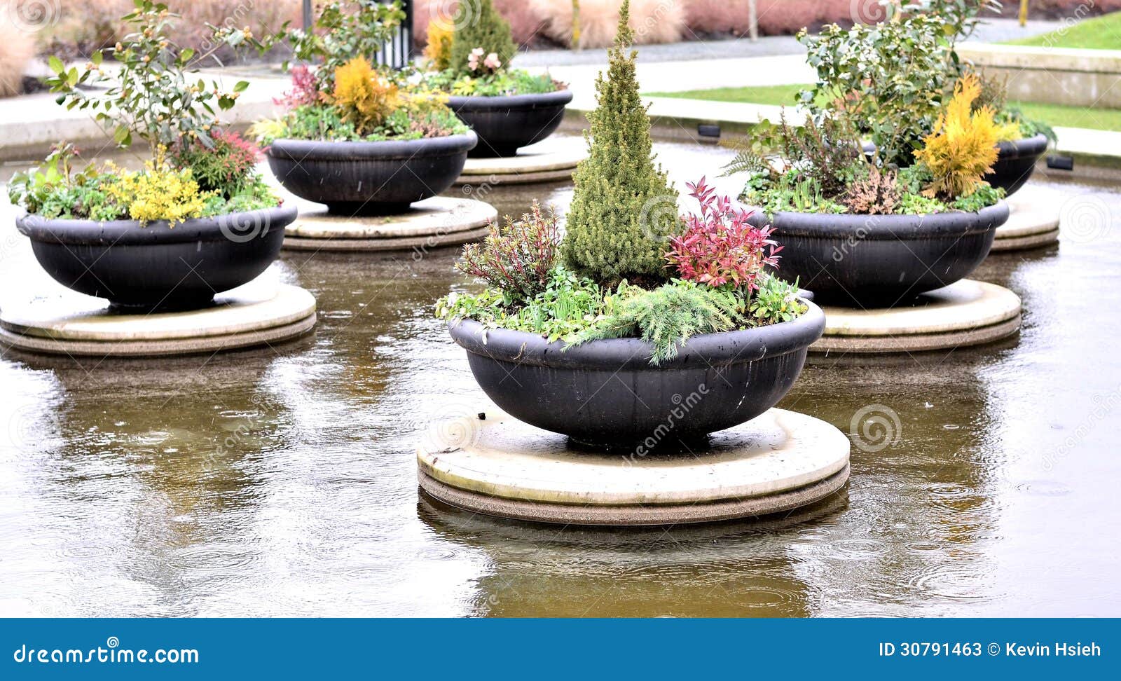 Beautiful flower pots stock image. Image of landscaping - 30791463