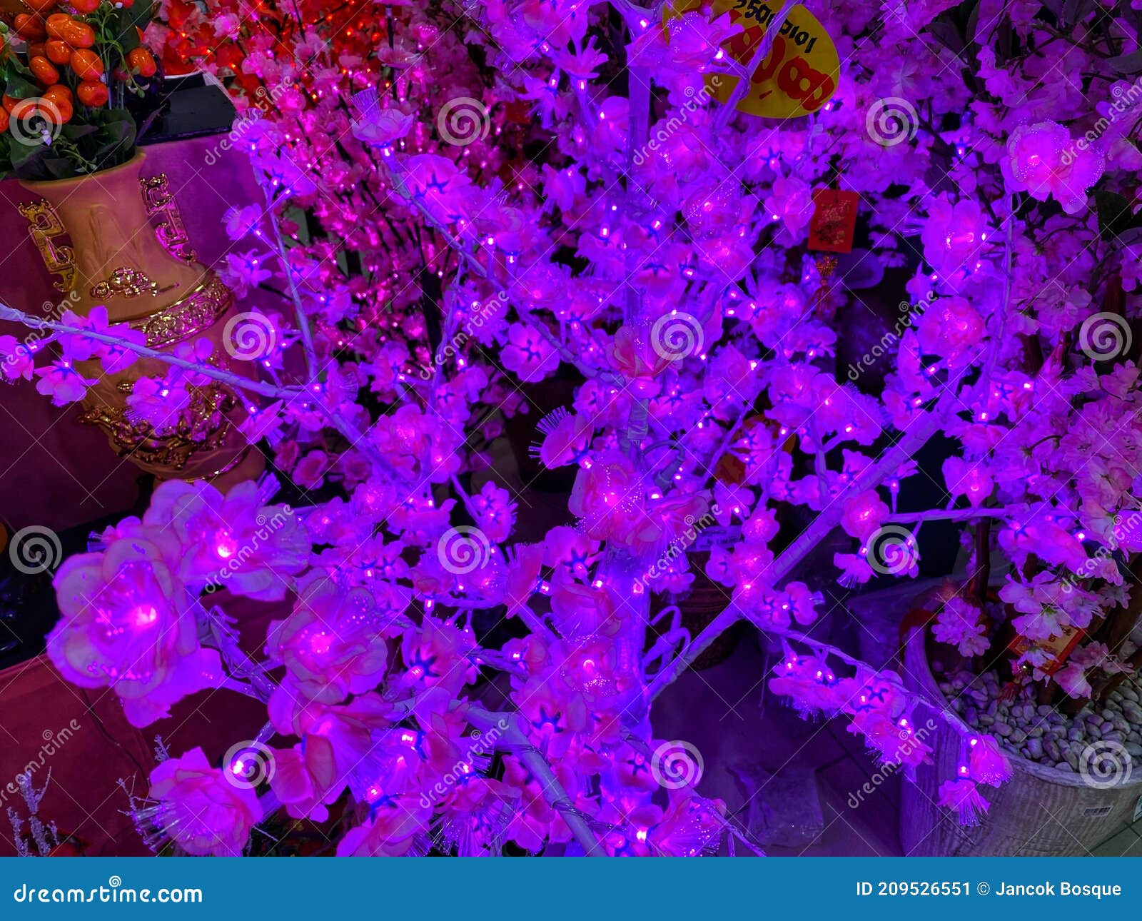 BEAUTIFUL FLOWER PURPLE SHOOT Stock Image - Image of capture, flower ...