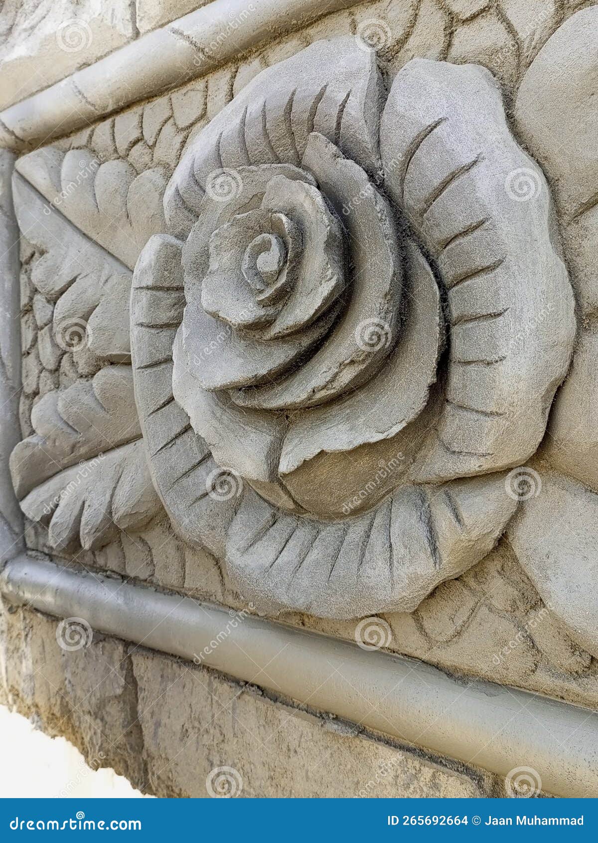 Beautiful Flower Rose with Cement Stock Photo - Image of beautiful ...