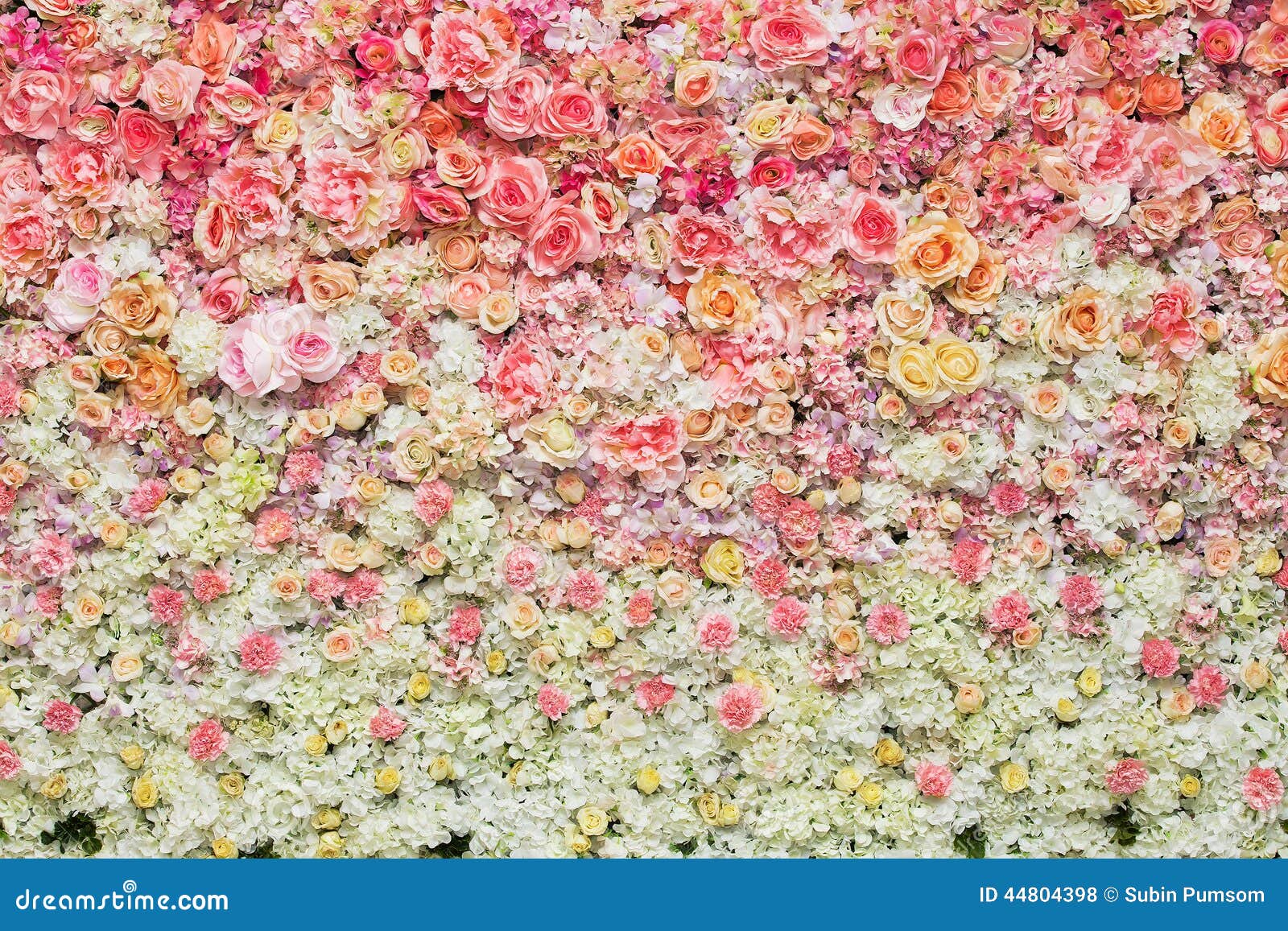Beautiful Flowers Background for Wedding Stock Photo - Image of floral ...